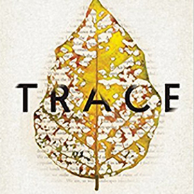 Trace: Memory, History, Race and the American Landscape