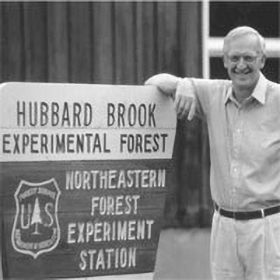 Lessons from the Forest