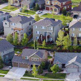 The Ecological Homogenization of Urban America