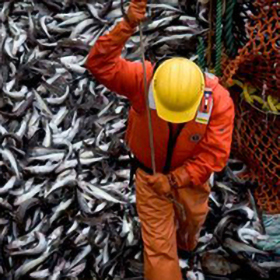 Overfishing: What Everyone Needs to Know