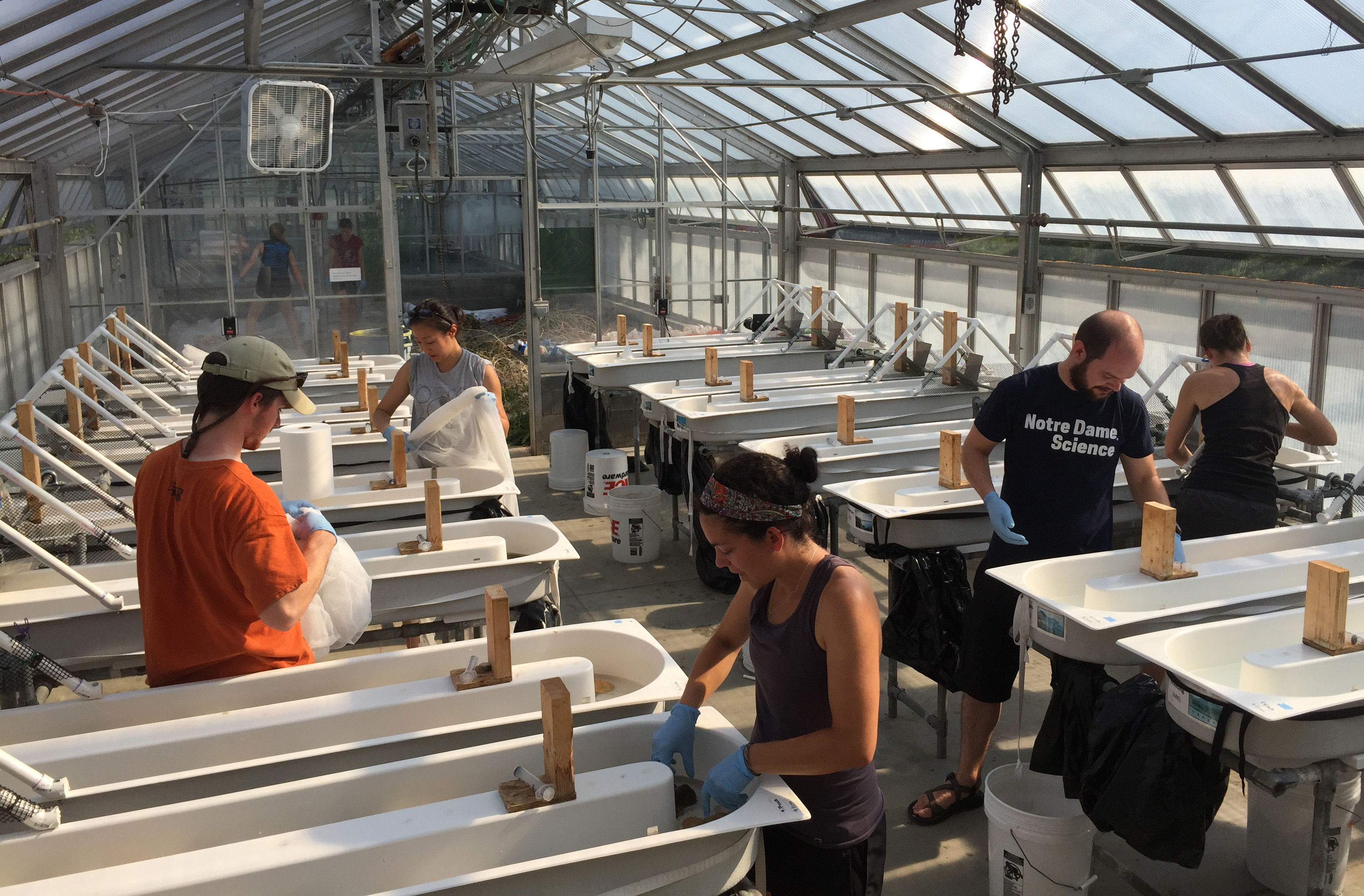 Ecological consequences of amphetamine pollution in urban streams