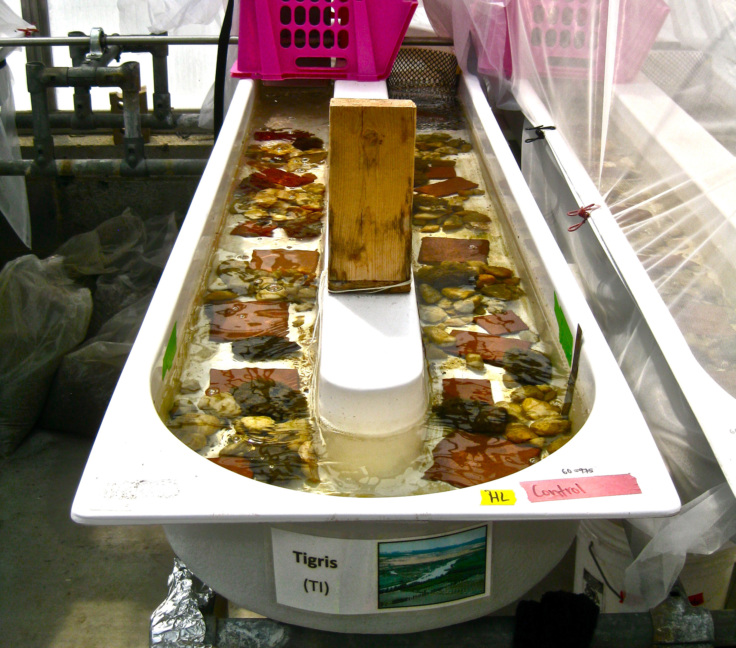 Low dose, constant drip: Pharmaceuticals & personal care products ...