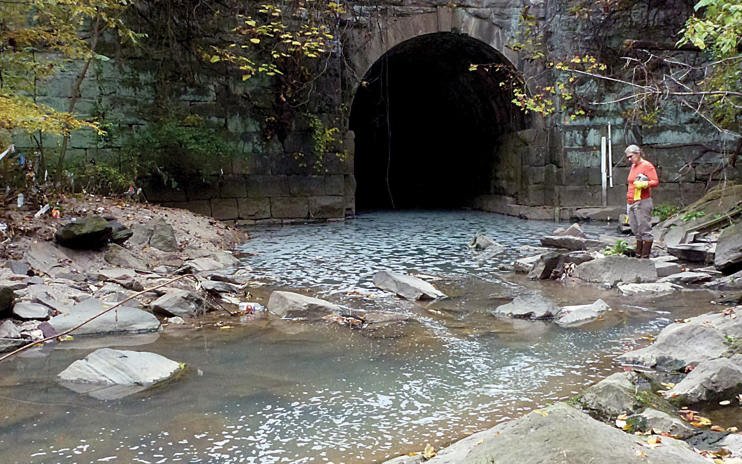 In urban streams, pharmaceutical pollution is driving microbial resistance