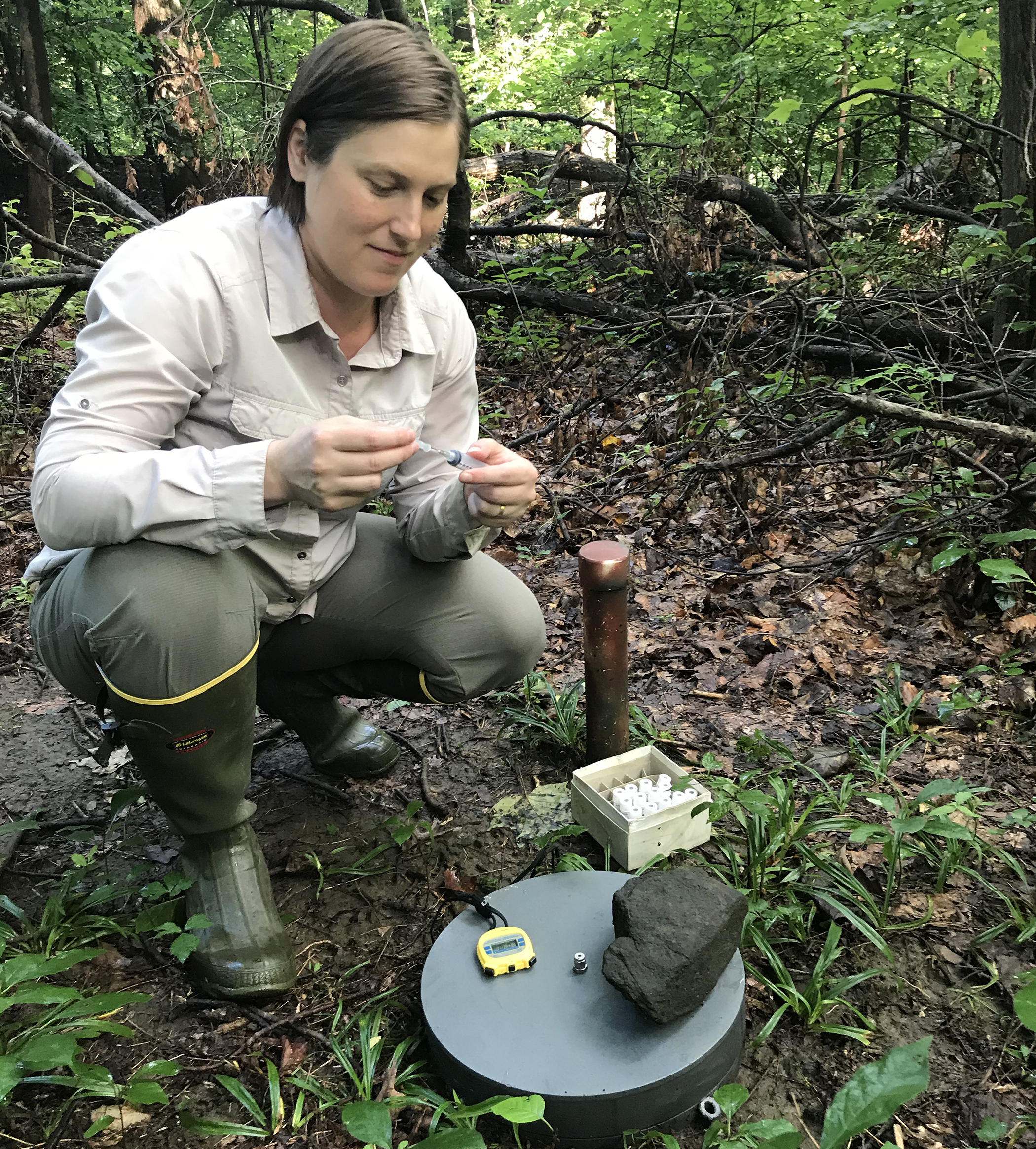 forest research soils