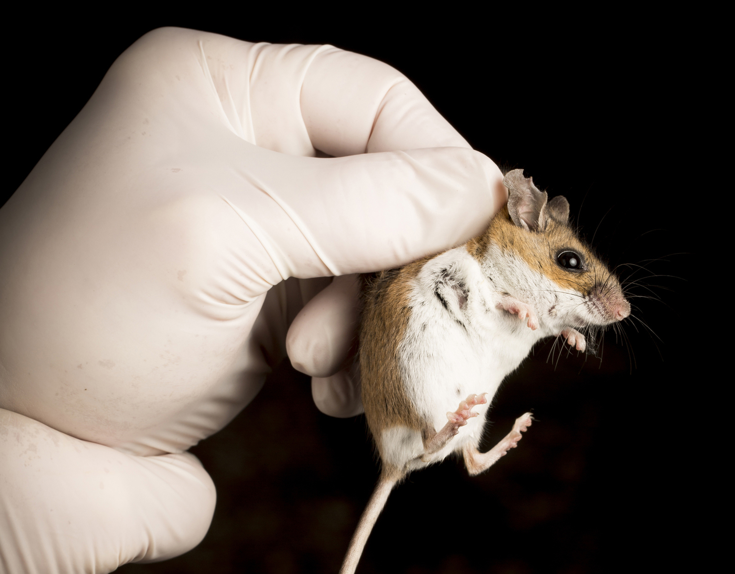 Cary Institute receives $5 million from Steven & Alexandra Cohen ...