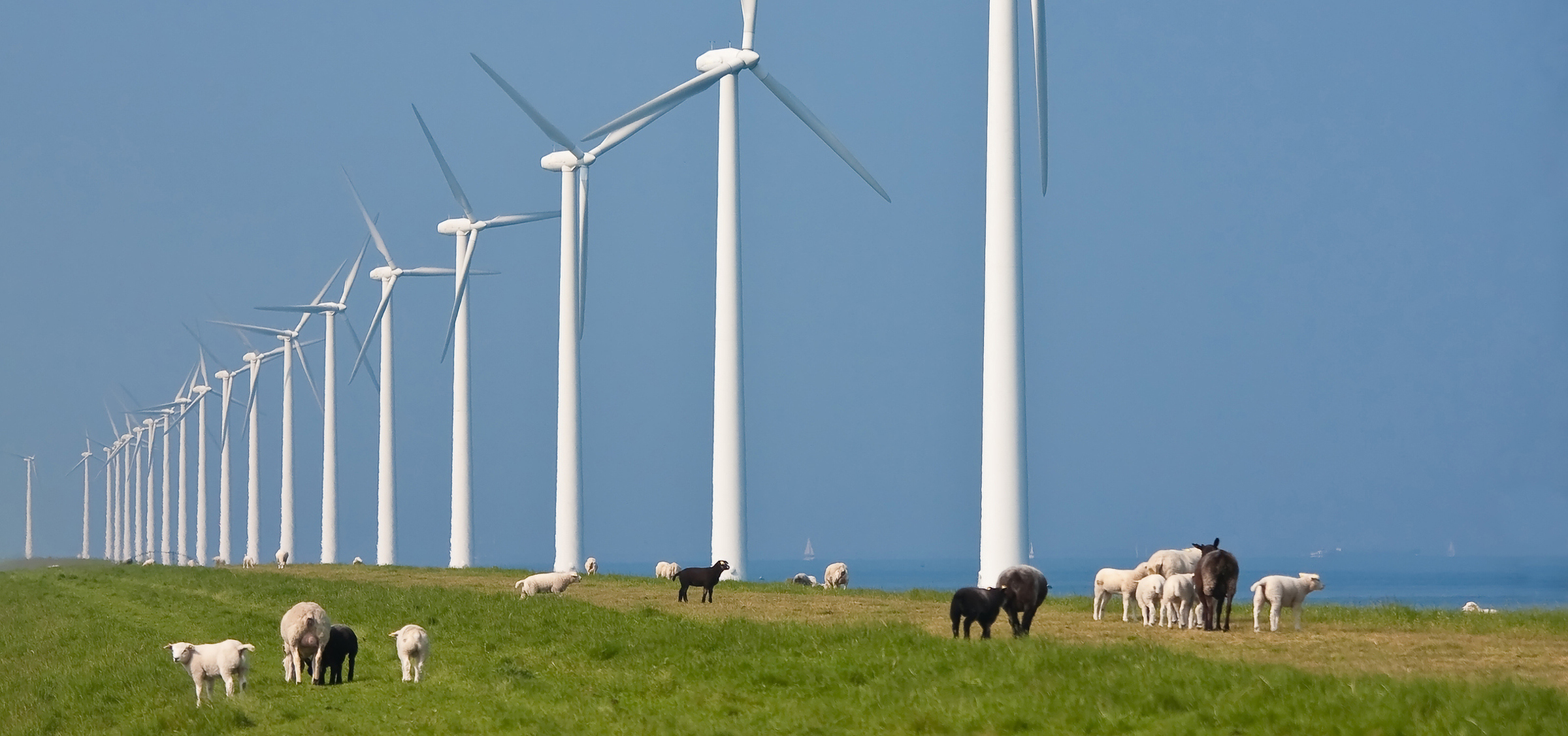 Communities can do more through 'Climate Smart' initiative