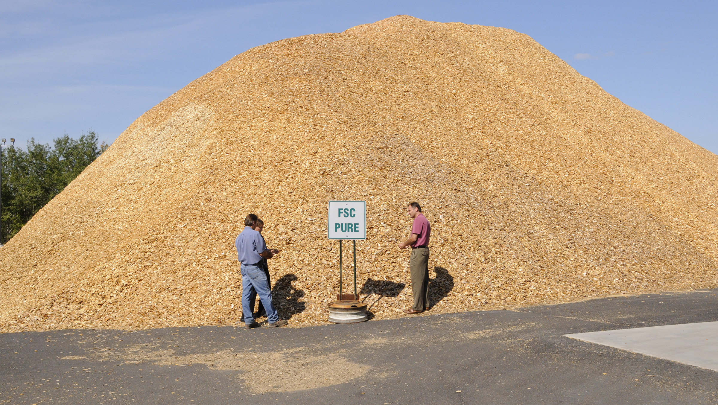 Are wood pellets a green fuel?