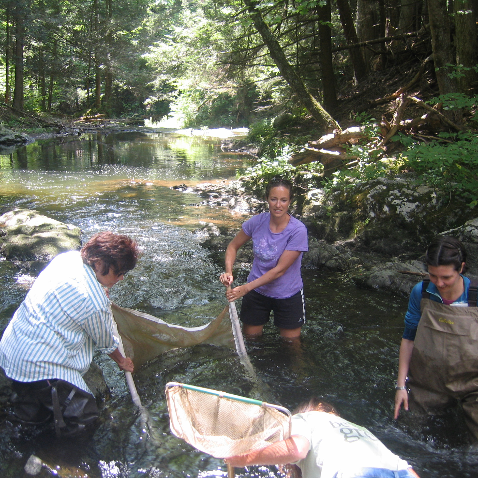 Small Watershed Ecology Assessment Project
