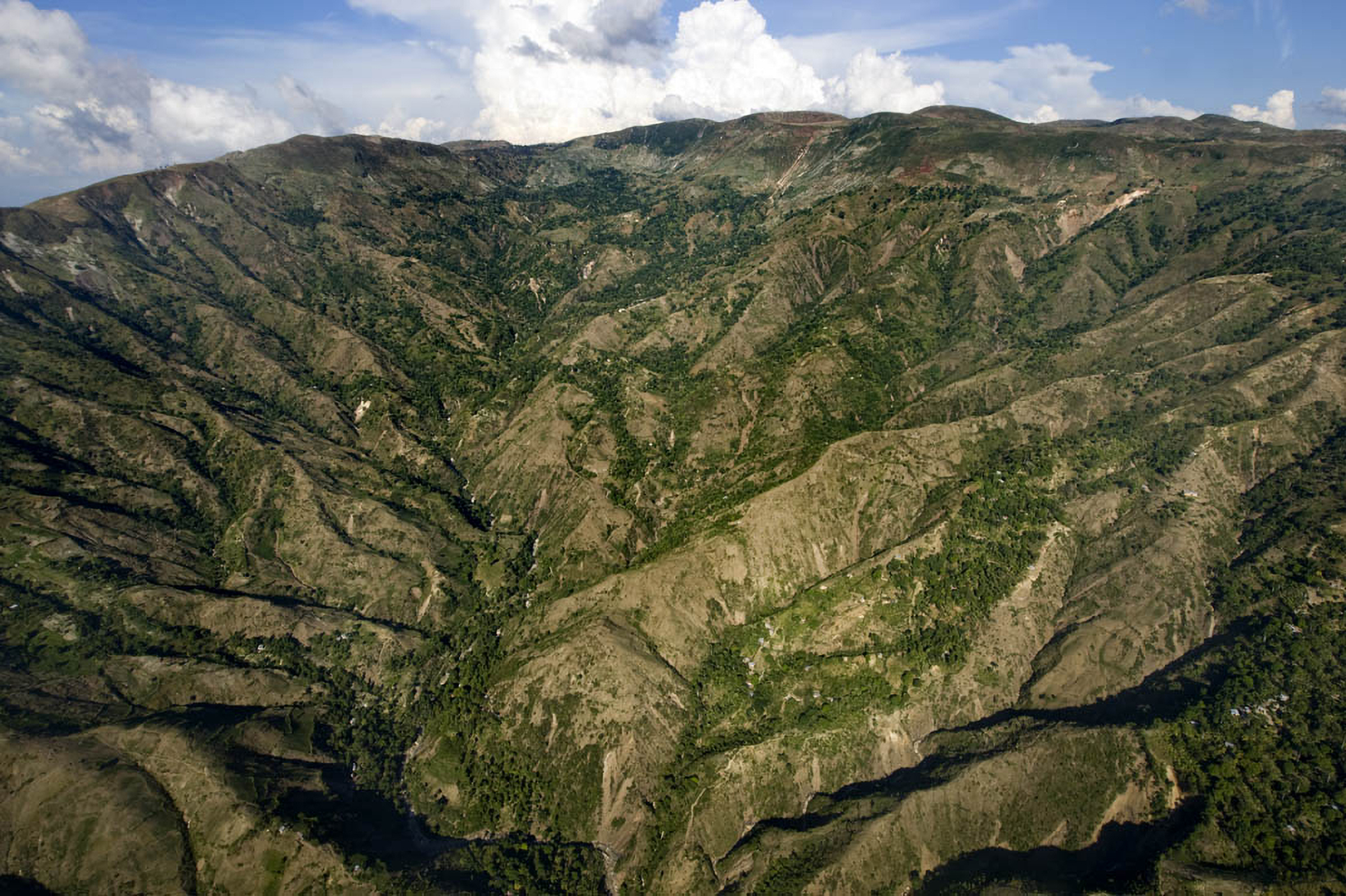 Natural climate solutions