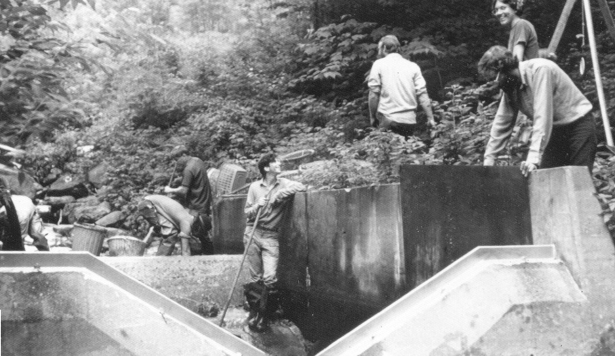 Lessons from the Hubbard Brook Experimental Forest