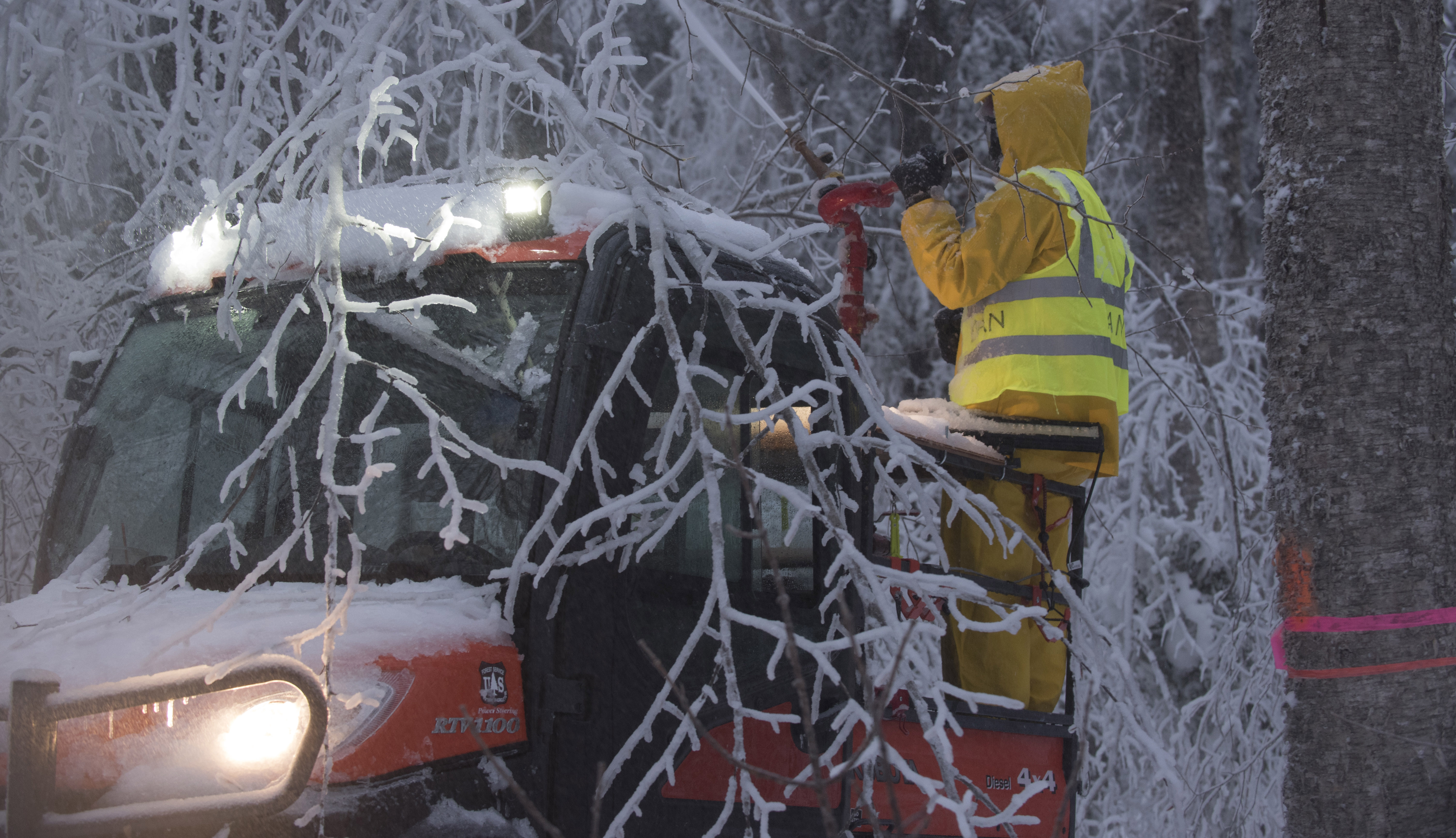 Ice storms: Study looks at how they affect forests