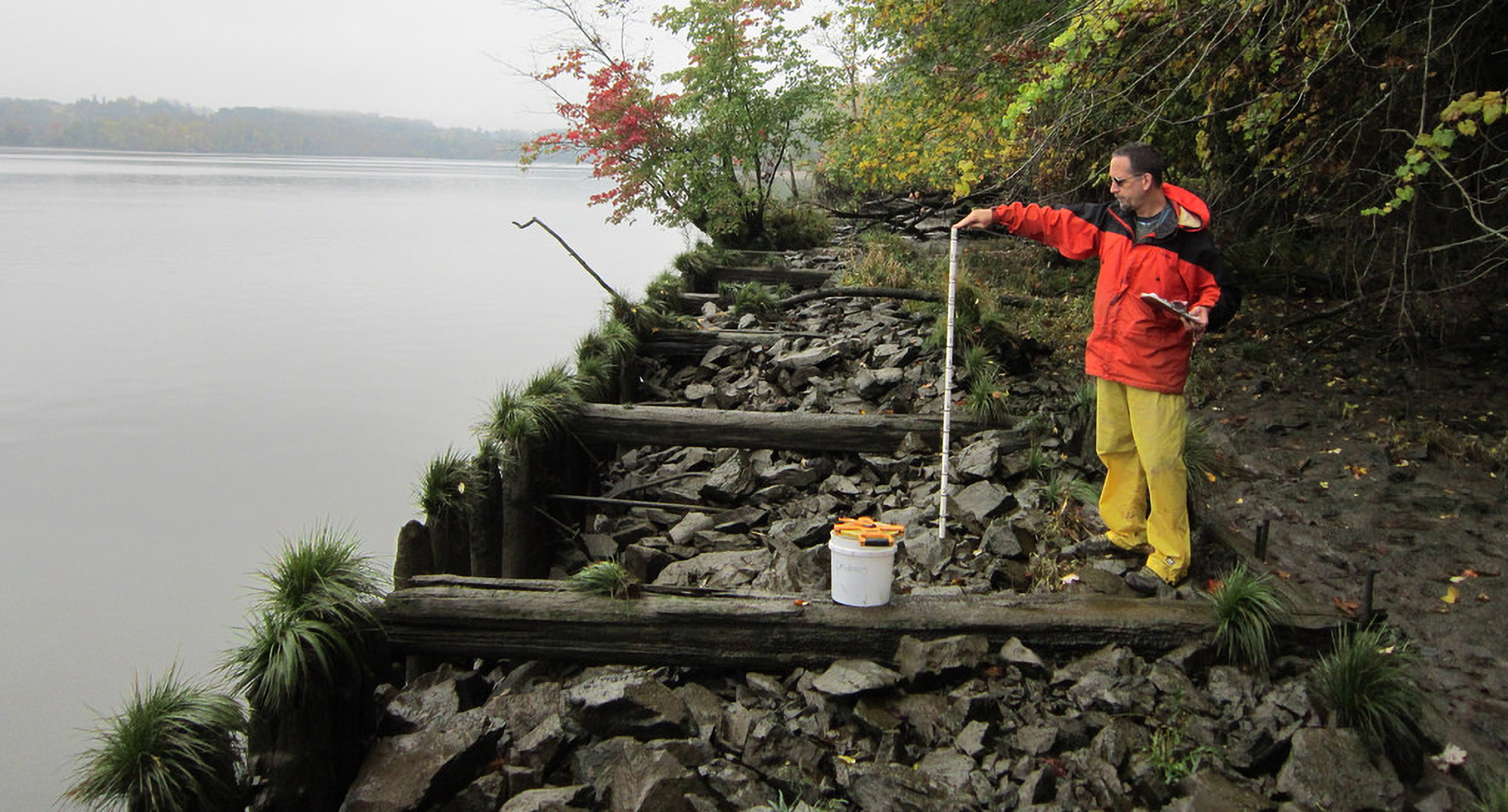 Restoring shorelines and wetlands