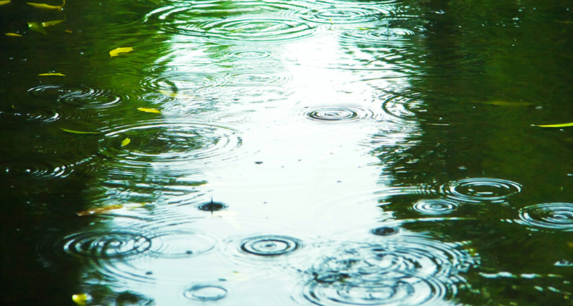 Soil acidity mitigation study takes surprise turn