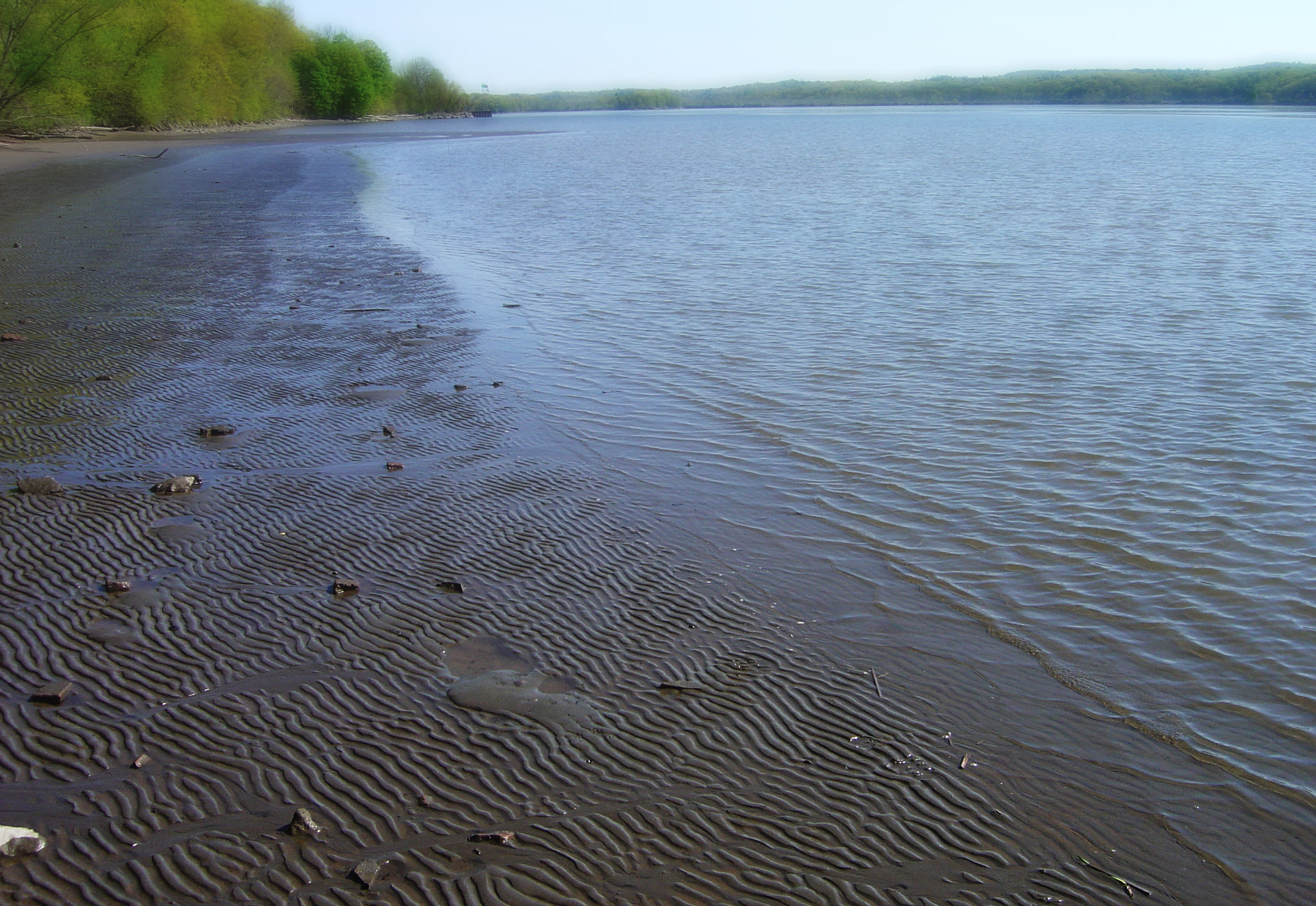 Managing Shore Zones for Ecological Benefits [Guide]