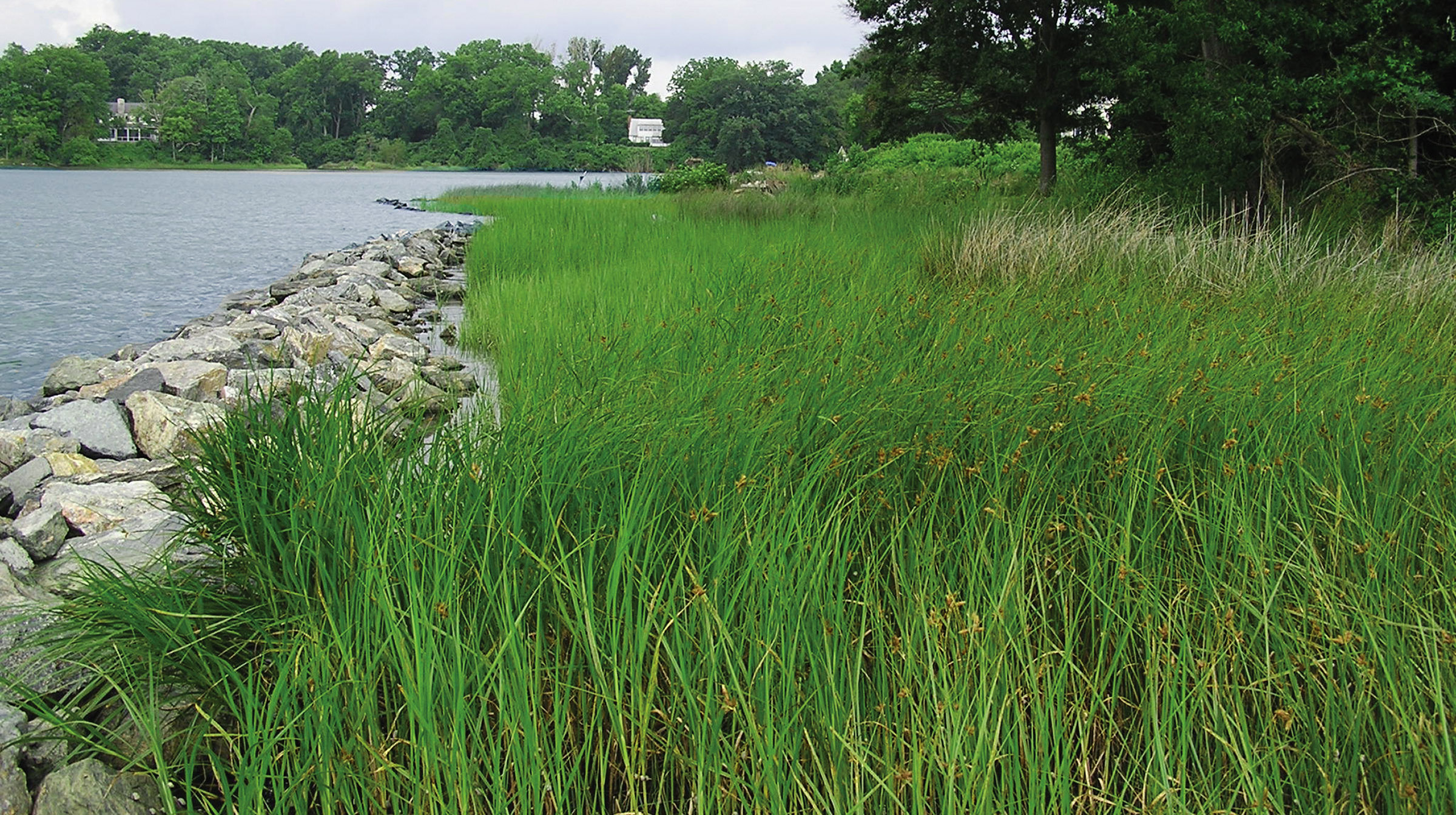 10 Questions to Ask When Building Defenses to Protect Hudson River ...