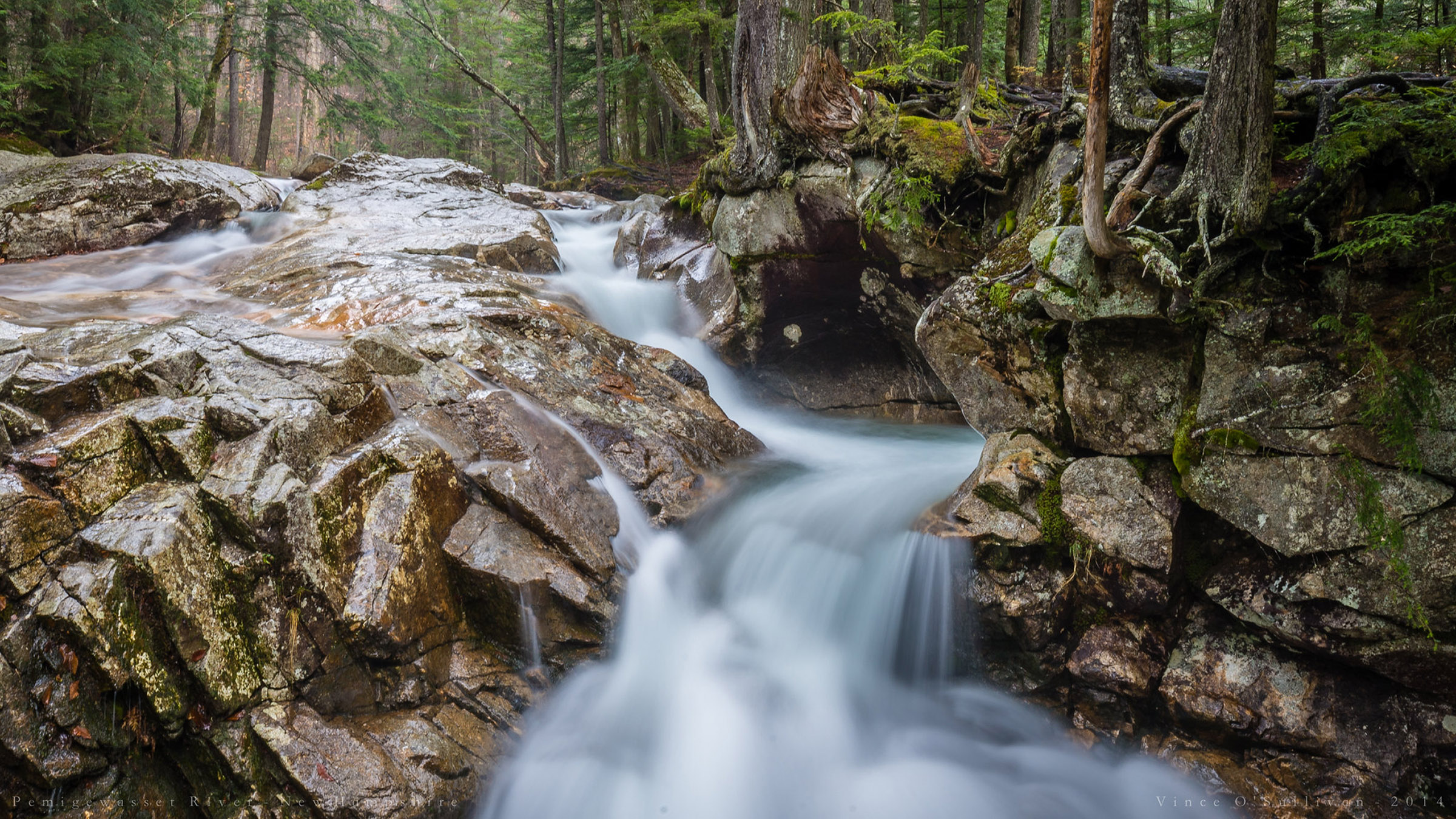 Stream Ecosystem Research