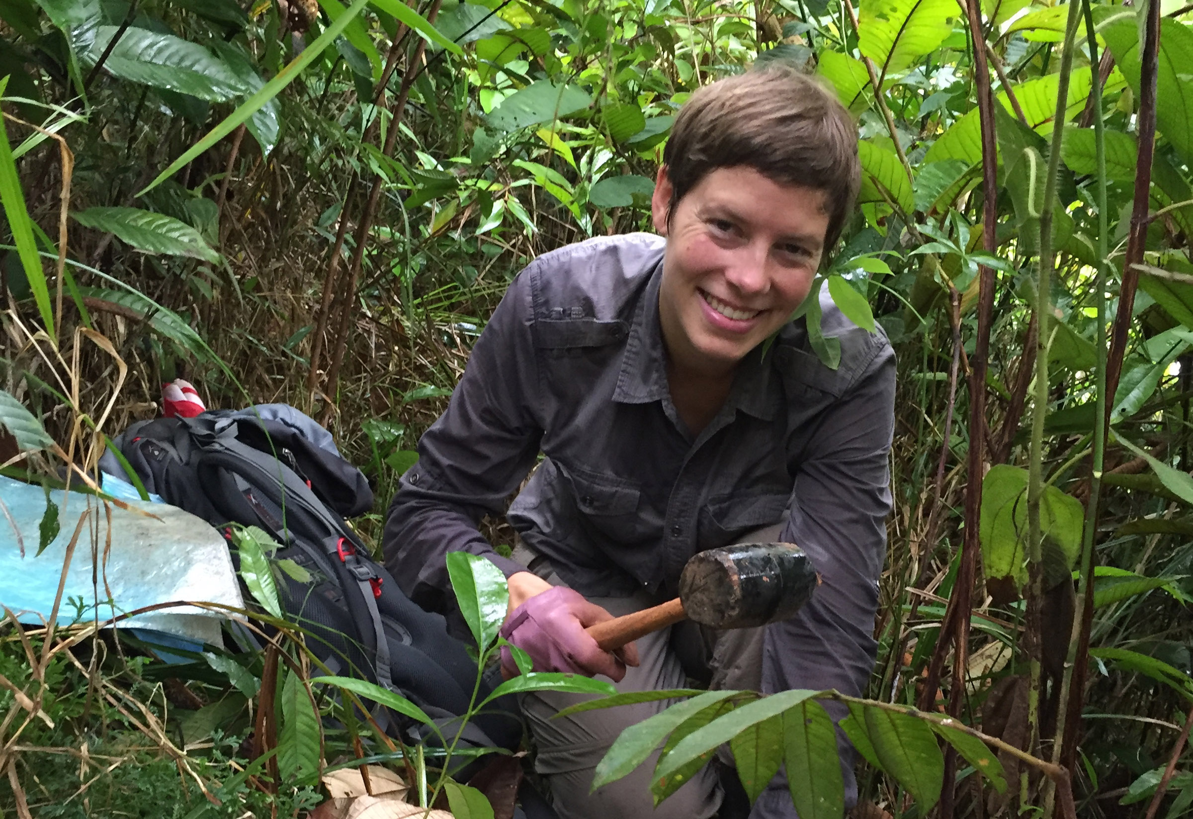 Cary Institute tropical forest ecologist Sarah Batterman awarded ...