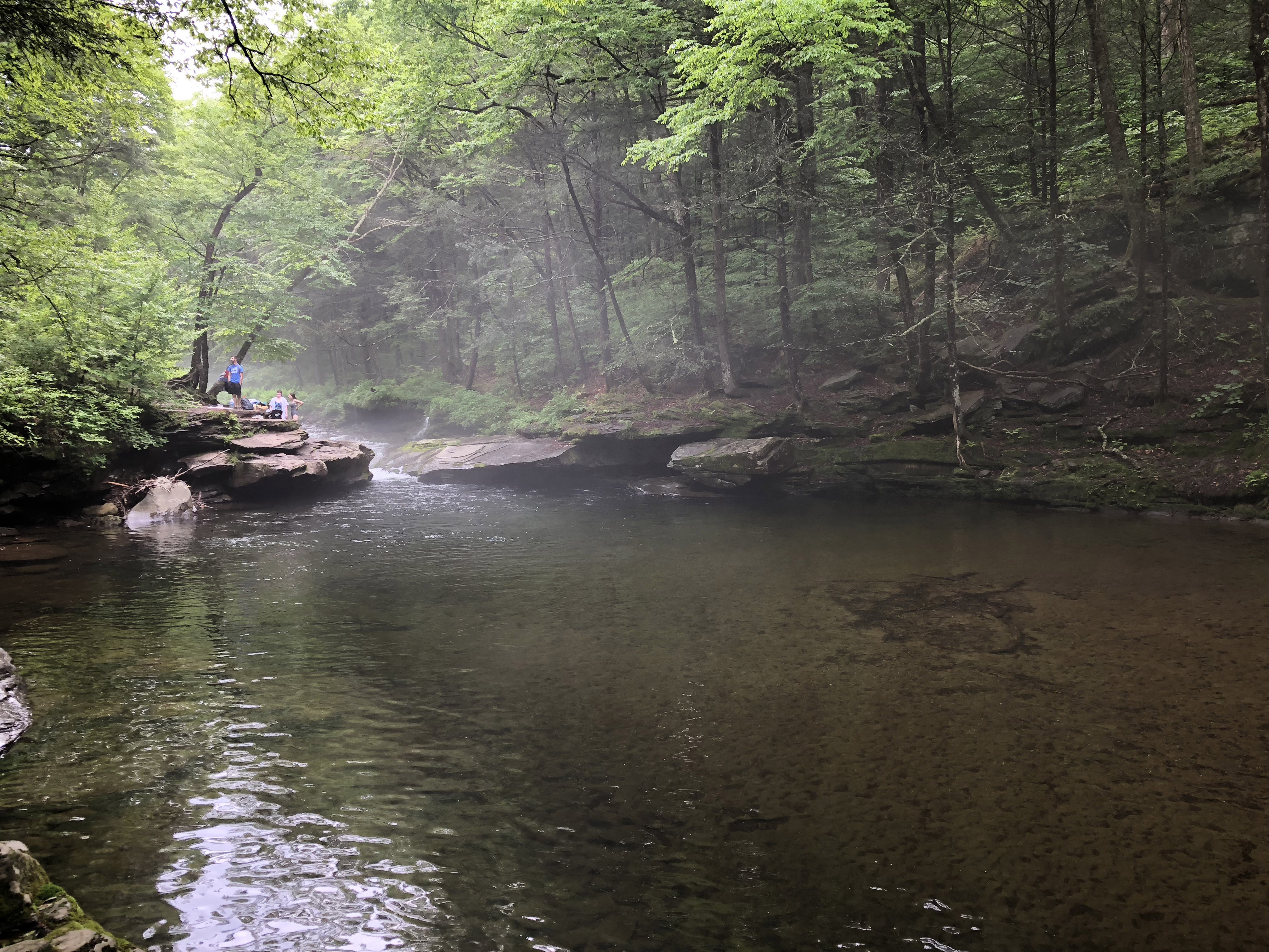 What makes a healthy ecosystem?