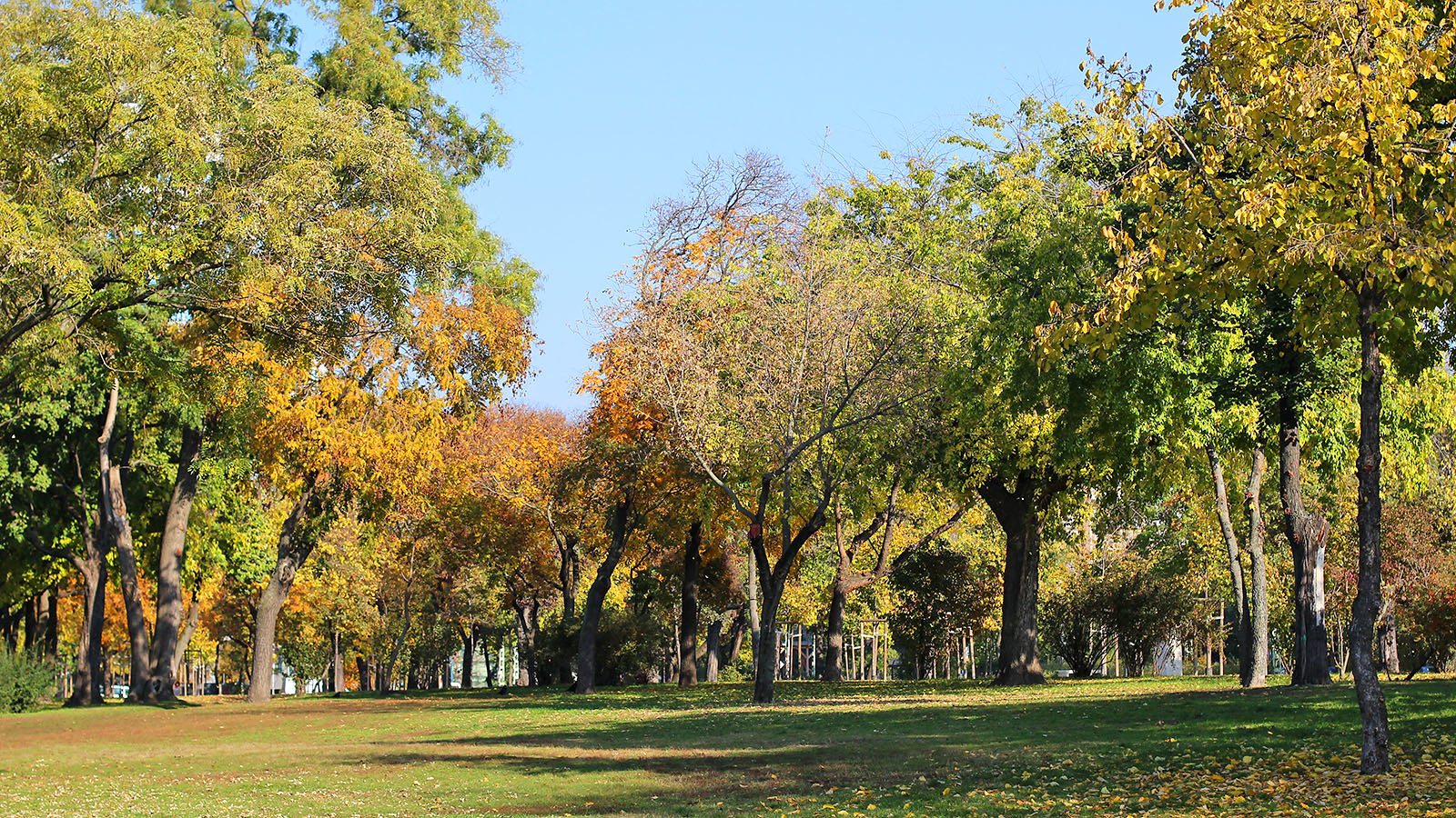 Creating a new green space model for tomorrow’s cities
