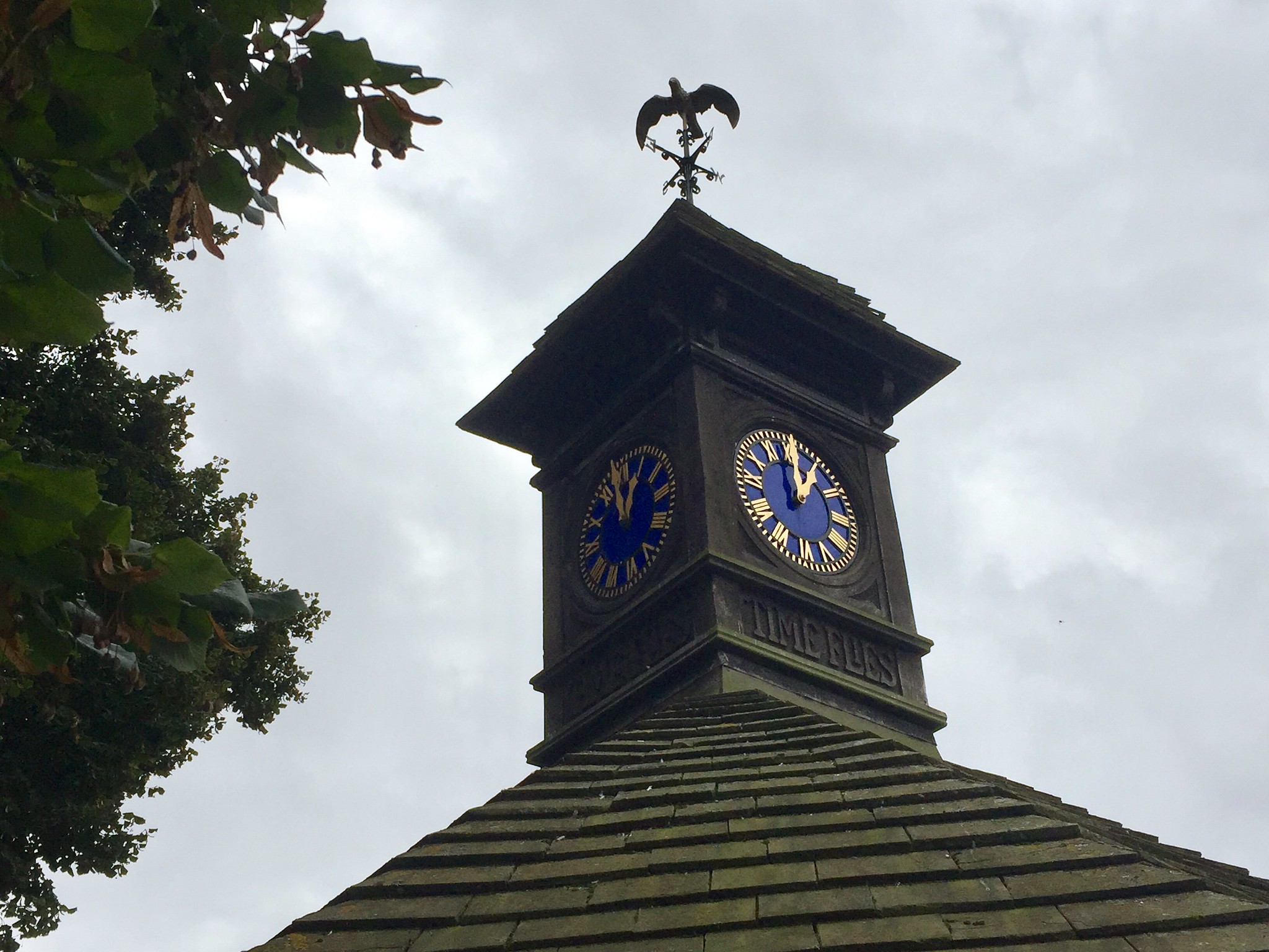 Phenology: telling time by nature’s clock, with cary institute