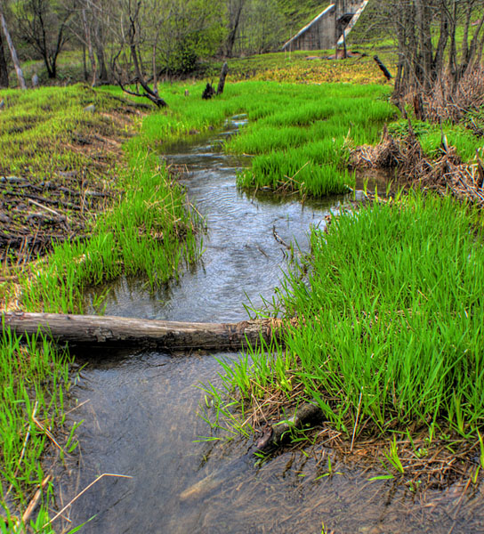 Rock snot growing in New York rivers