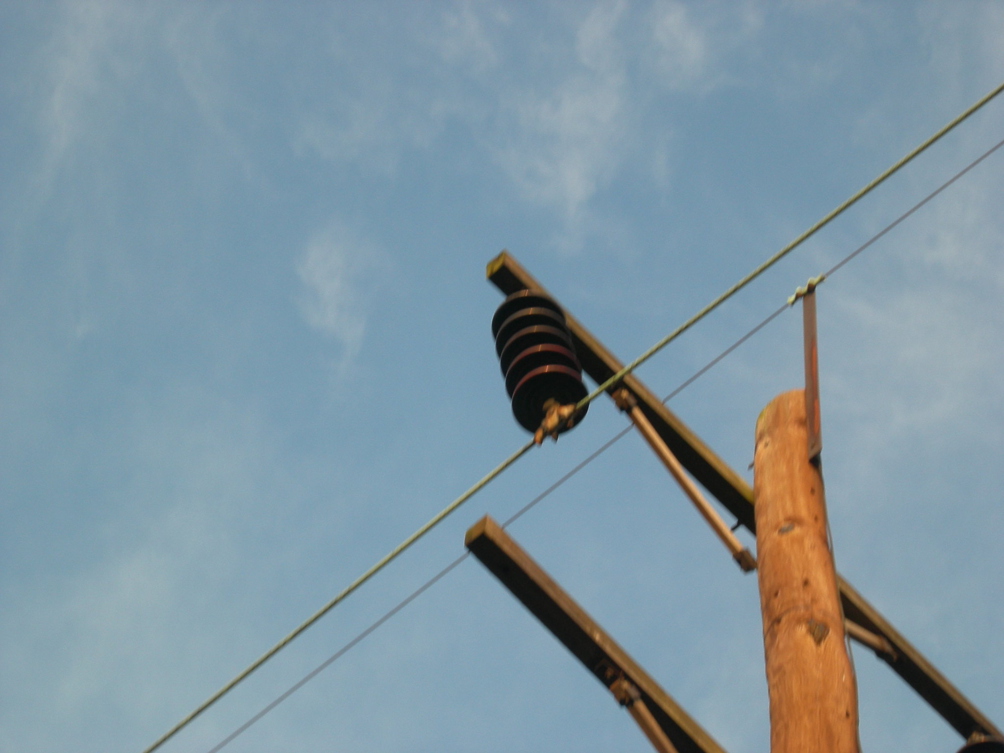 Scientists attack biomass power subsidy