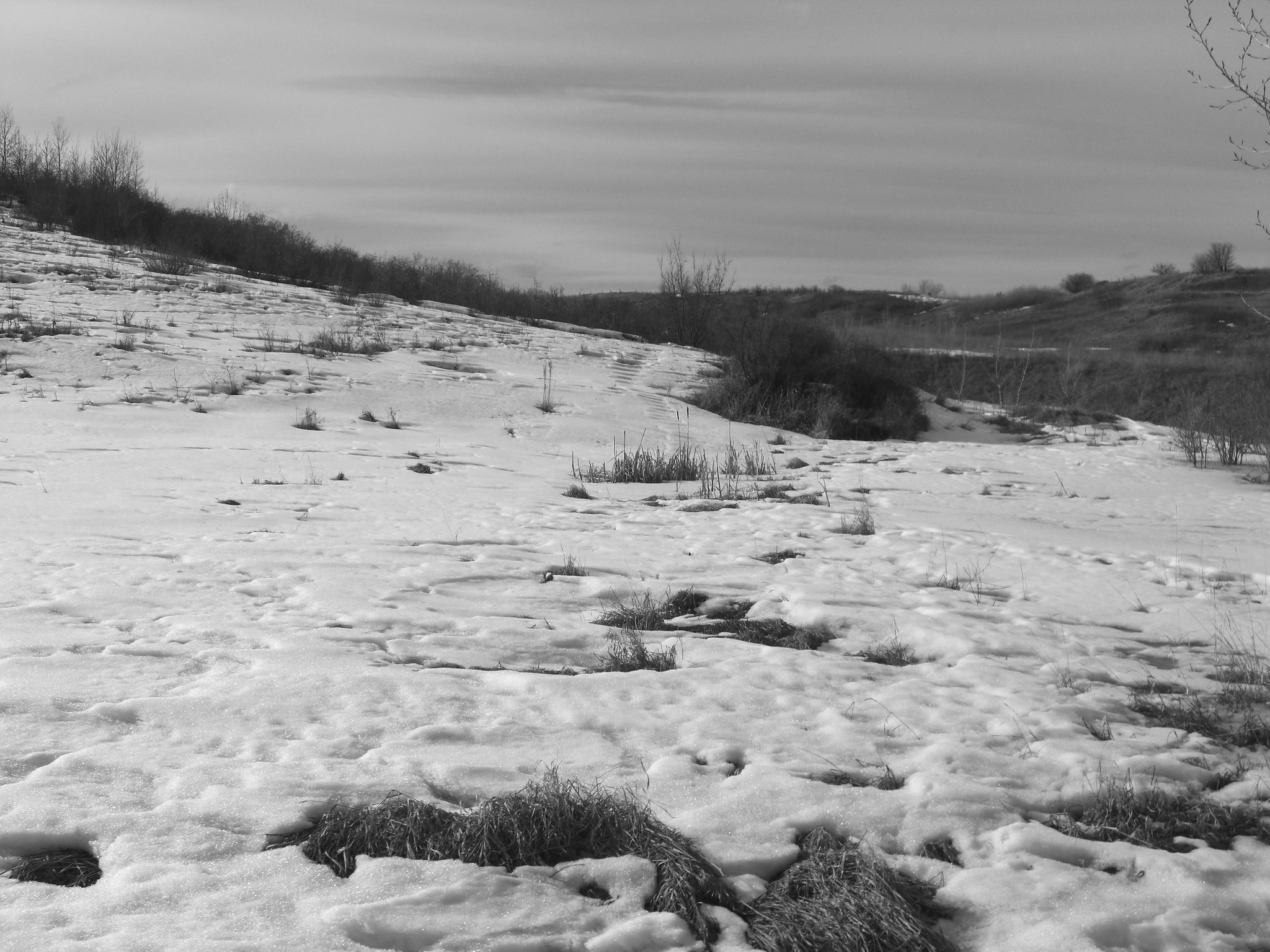 Indirect effects of climate change could alter landscapes