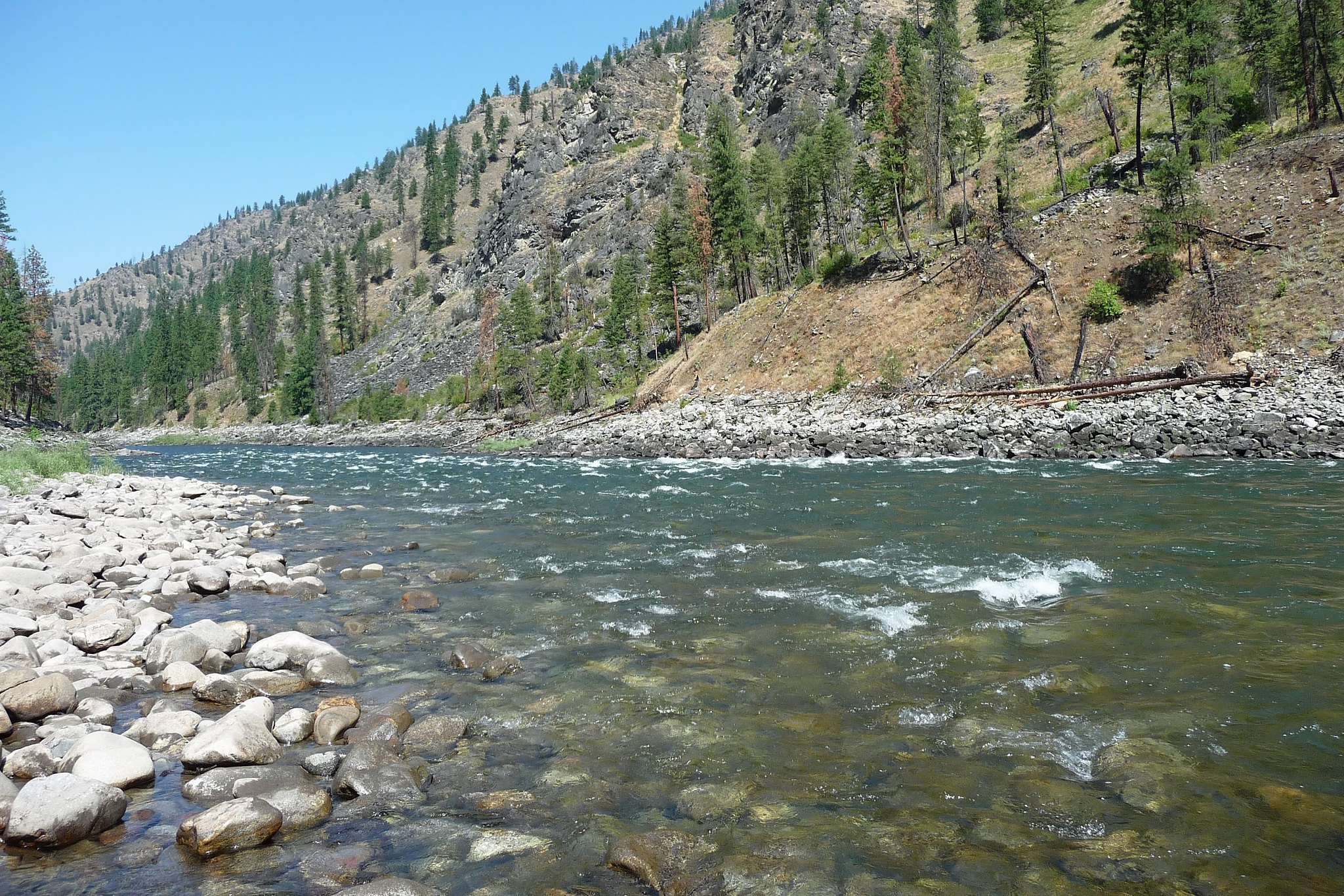 Fish out of their own water