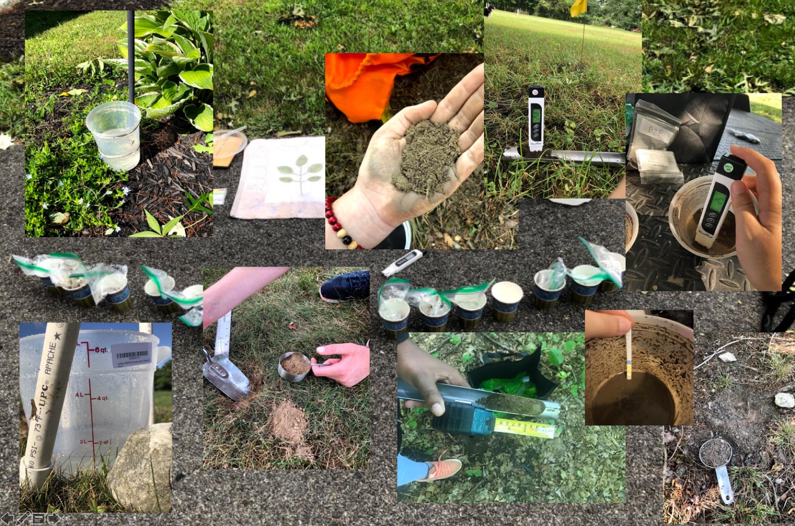 Diving head-first into hands-on watershed research from home