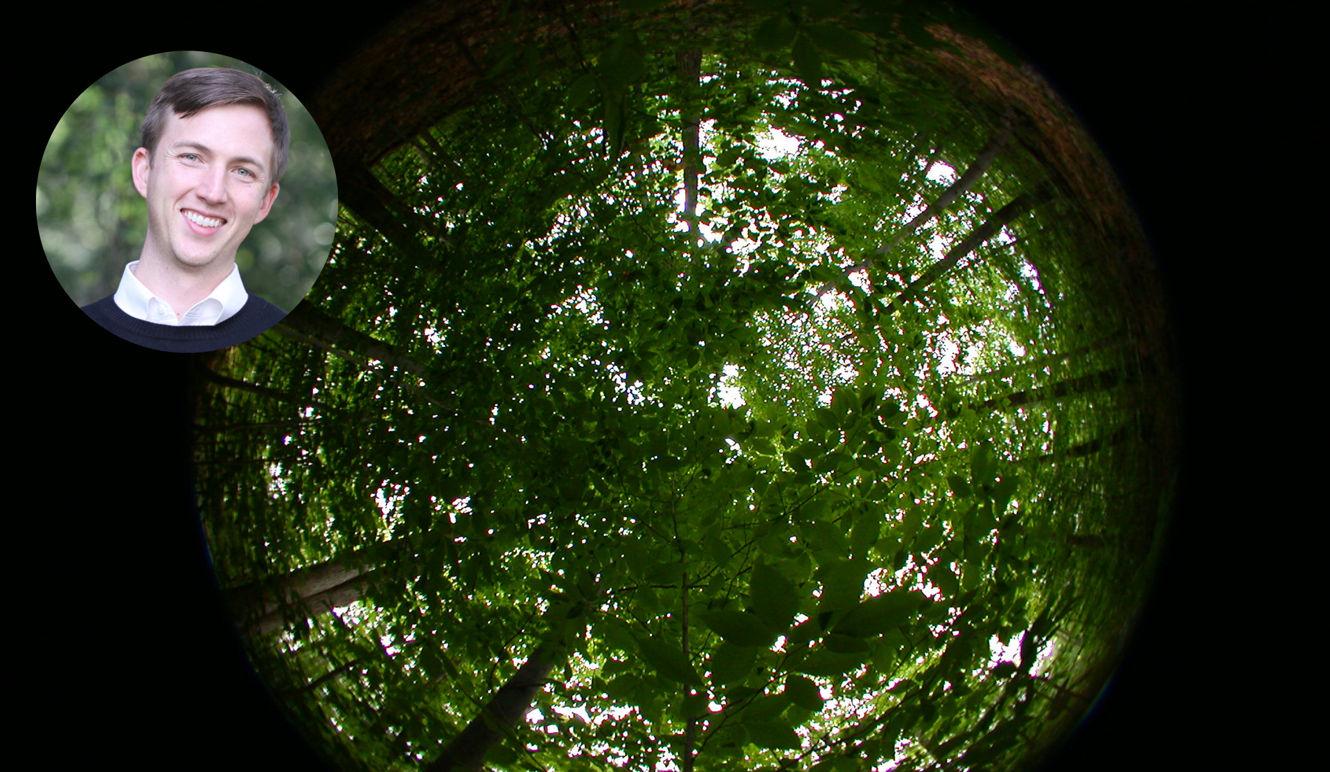 What Tree Canopy Structure Can Tell Us About Plant Productivity