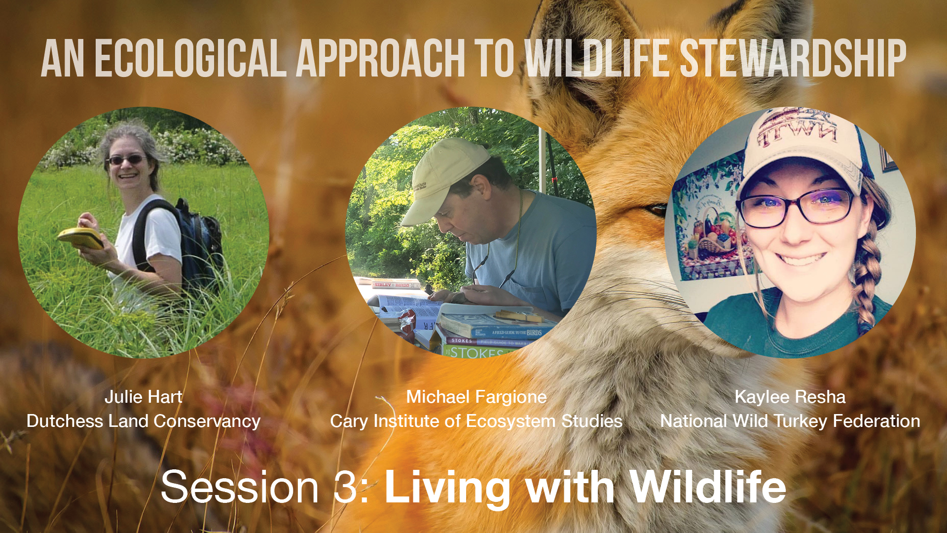 An Ecological Approach to Wildlife Stewardship: Living with Wildlife