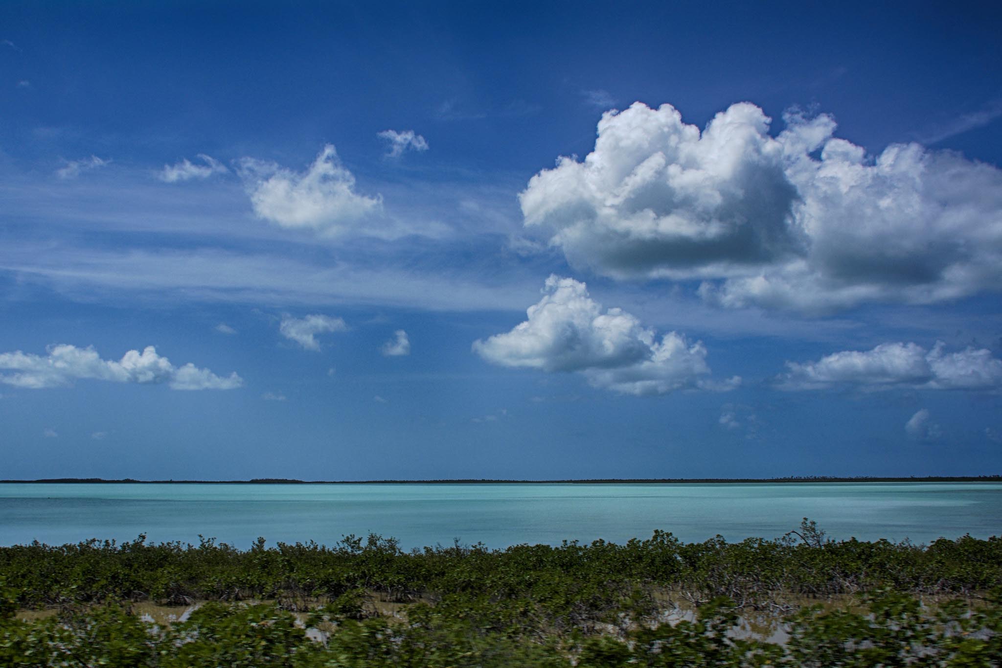 Biogeochemistry: Crucial to solving environmental problems