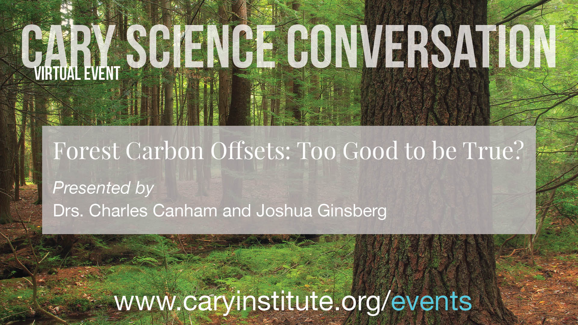 Forest Carbon Offsets: Too Good to be True? [Video]