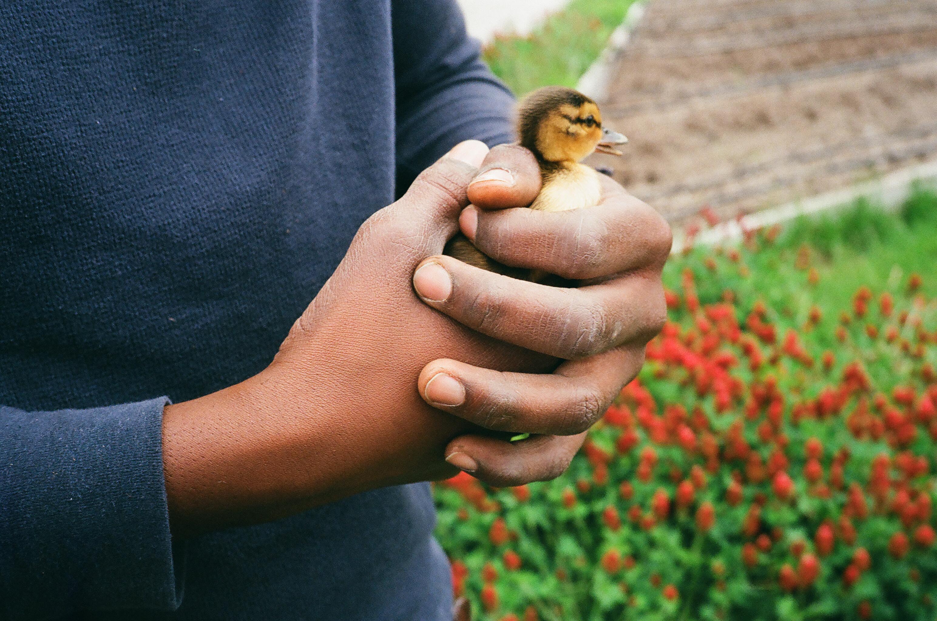 Toward a more inclusive definition of green infrastructure