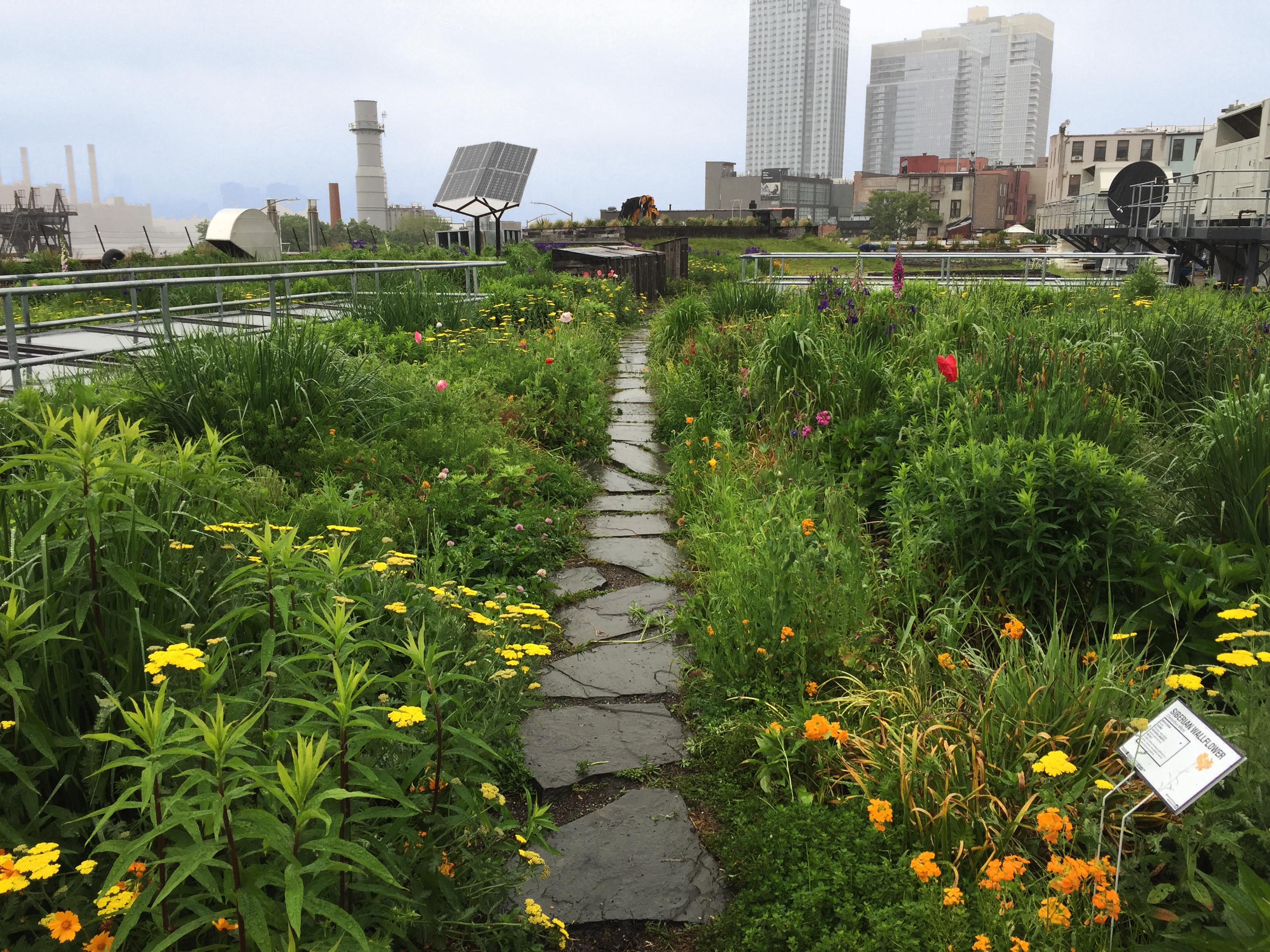 Strategies for achieving equitable green infrastructure in US urban ...