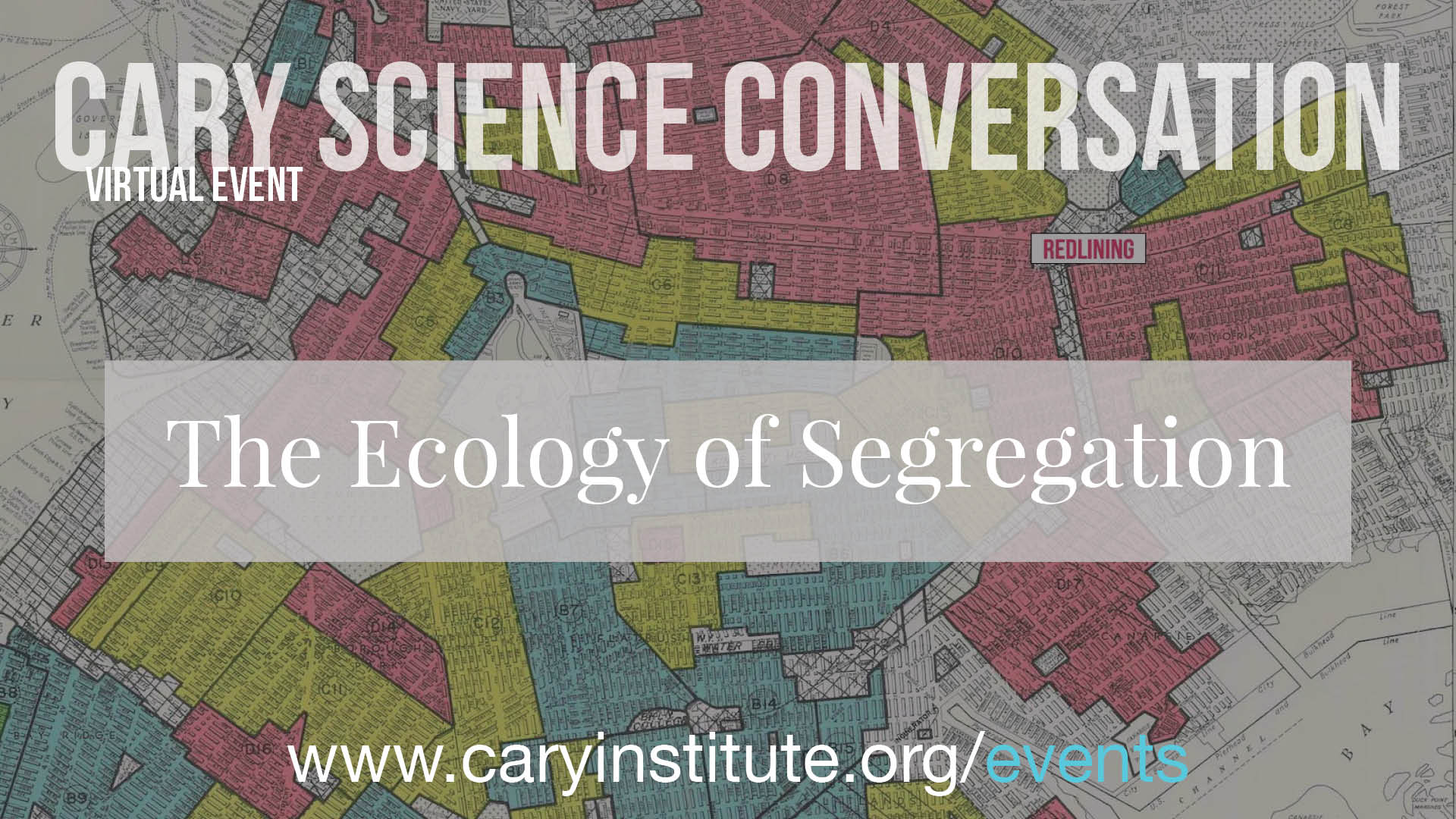 The Ecology of Segregation