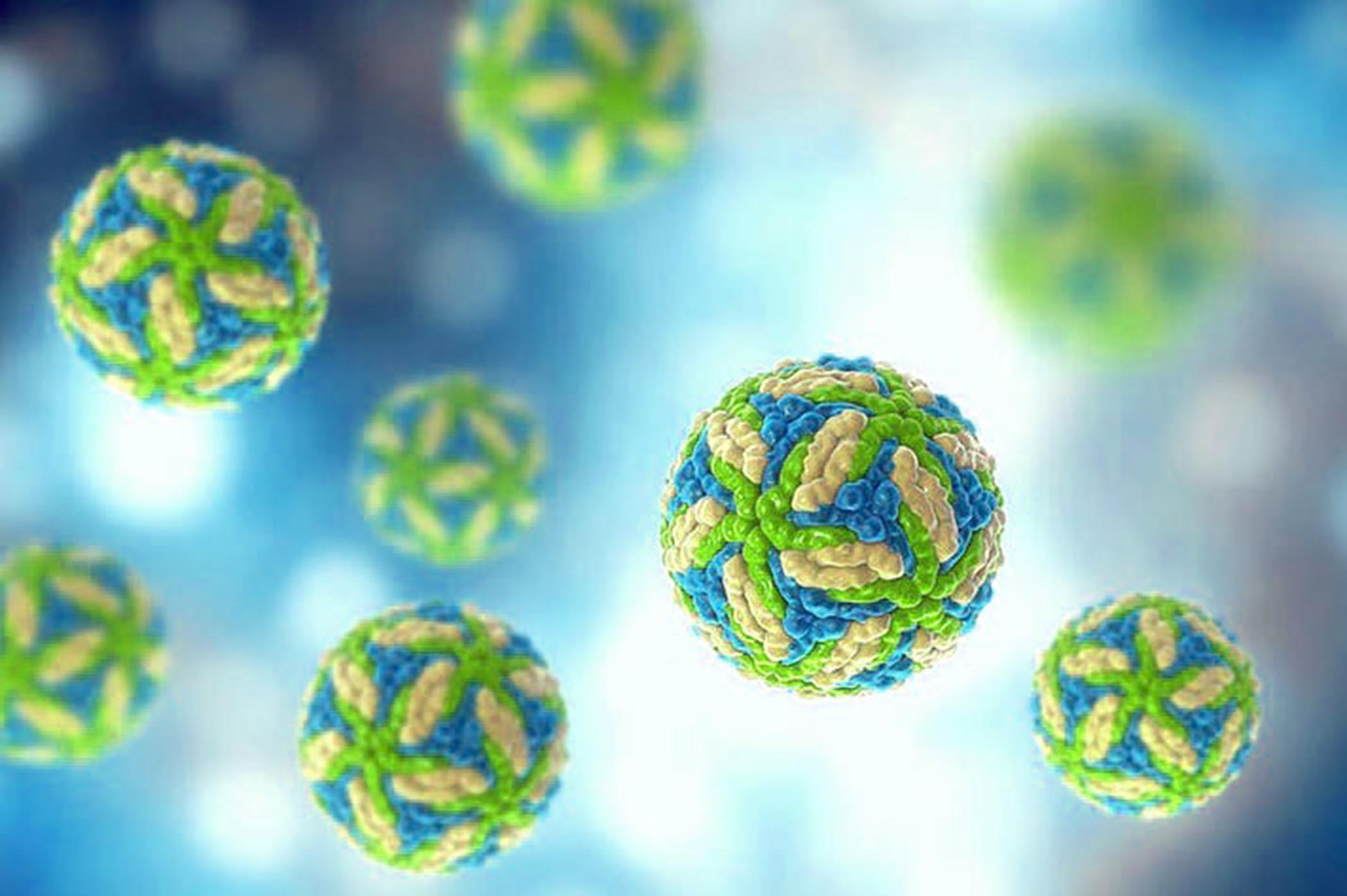 A lethal tick-borne disease is spreading in the US, driven by climate ...