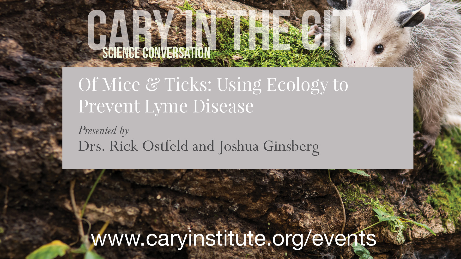 Of Mice & Ticks: Using Ecology to Prevent Lyme Disease