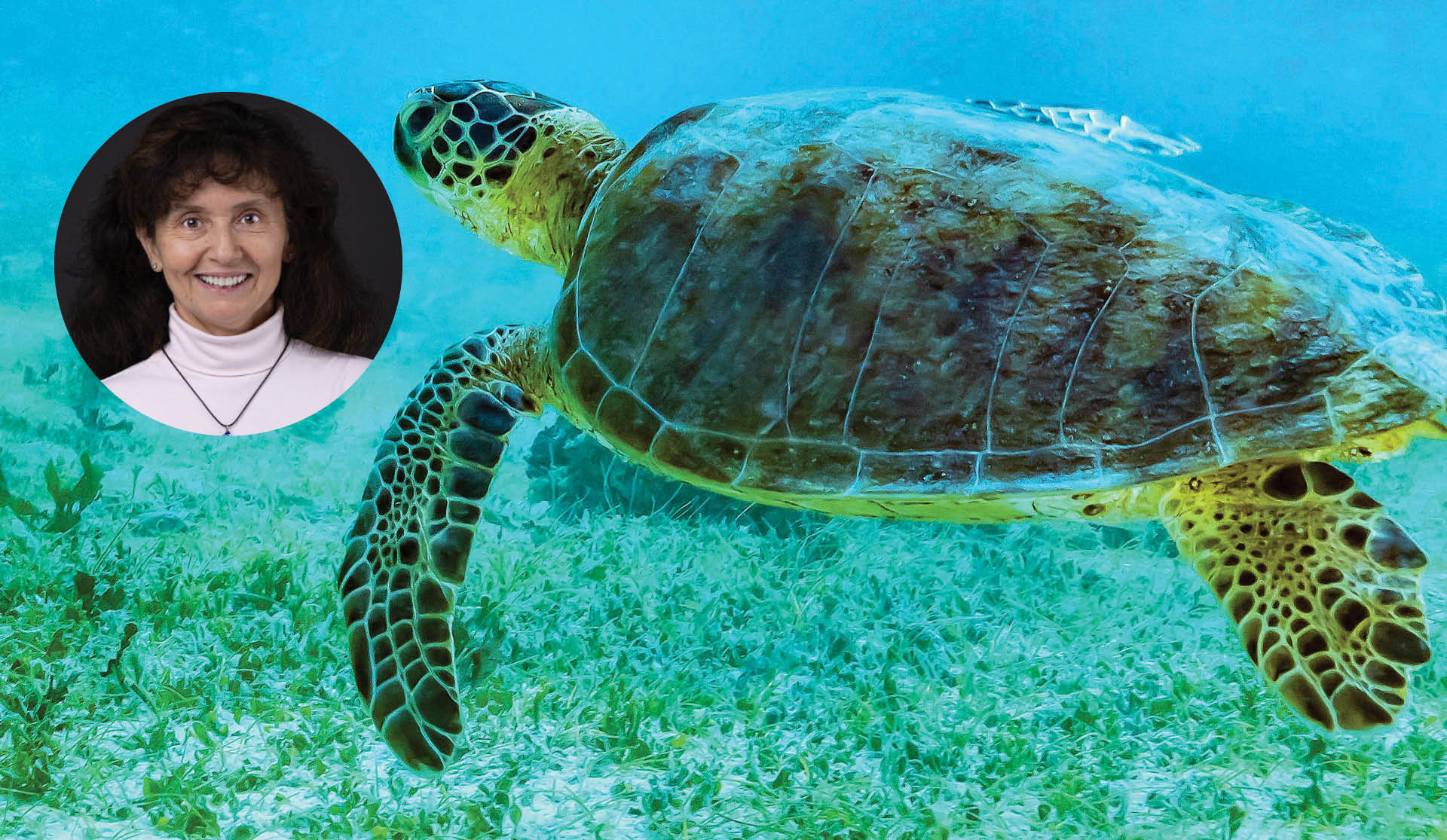 Discovering Biodiversity: Going Beyond the Limits of Our Eyes