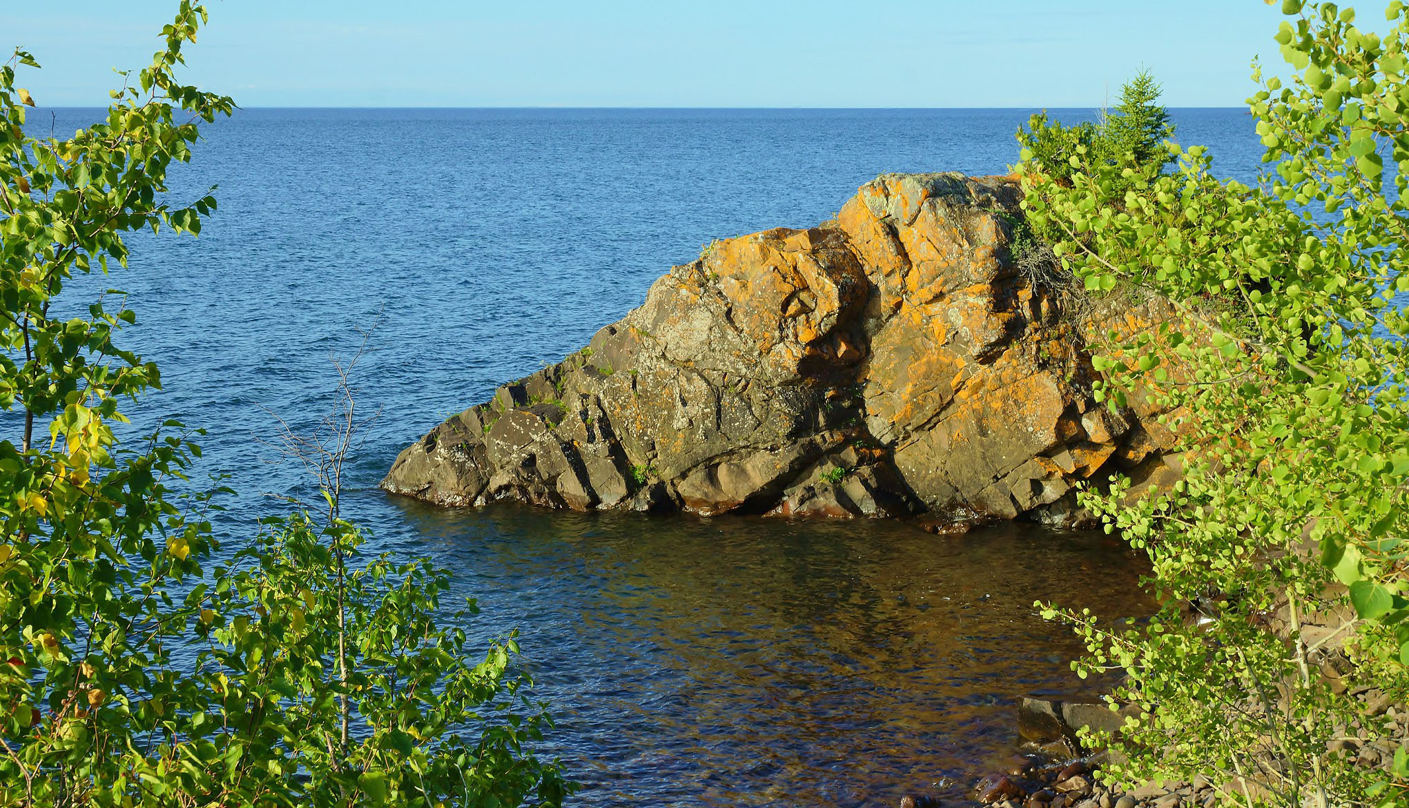 The Gleon network: A pulse on the planet's lakes