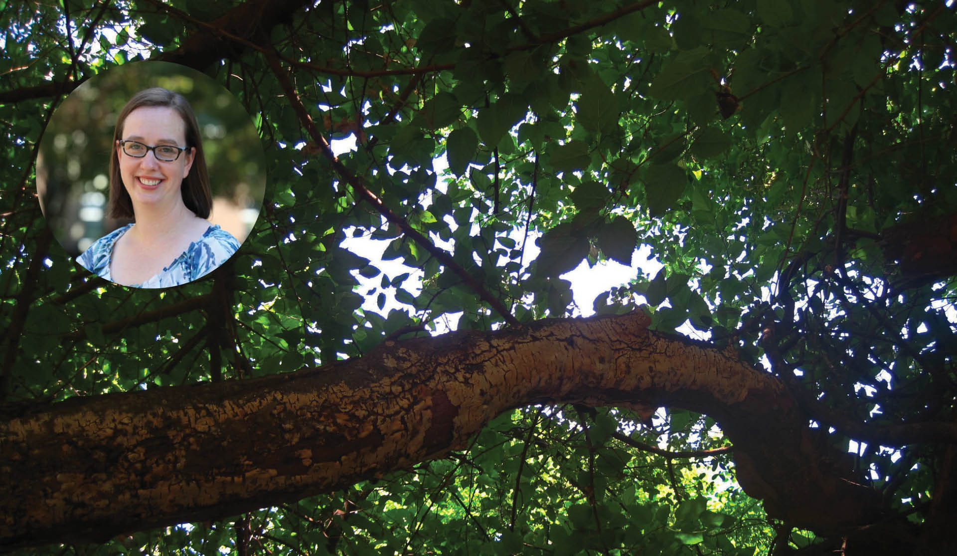 Urban Nature-based Solutions to Climate Change