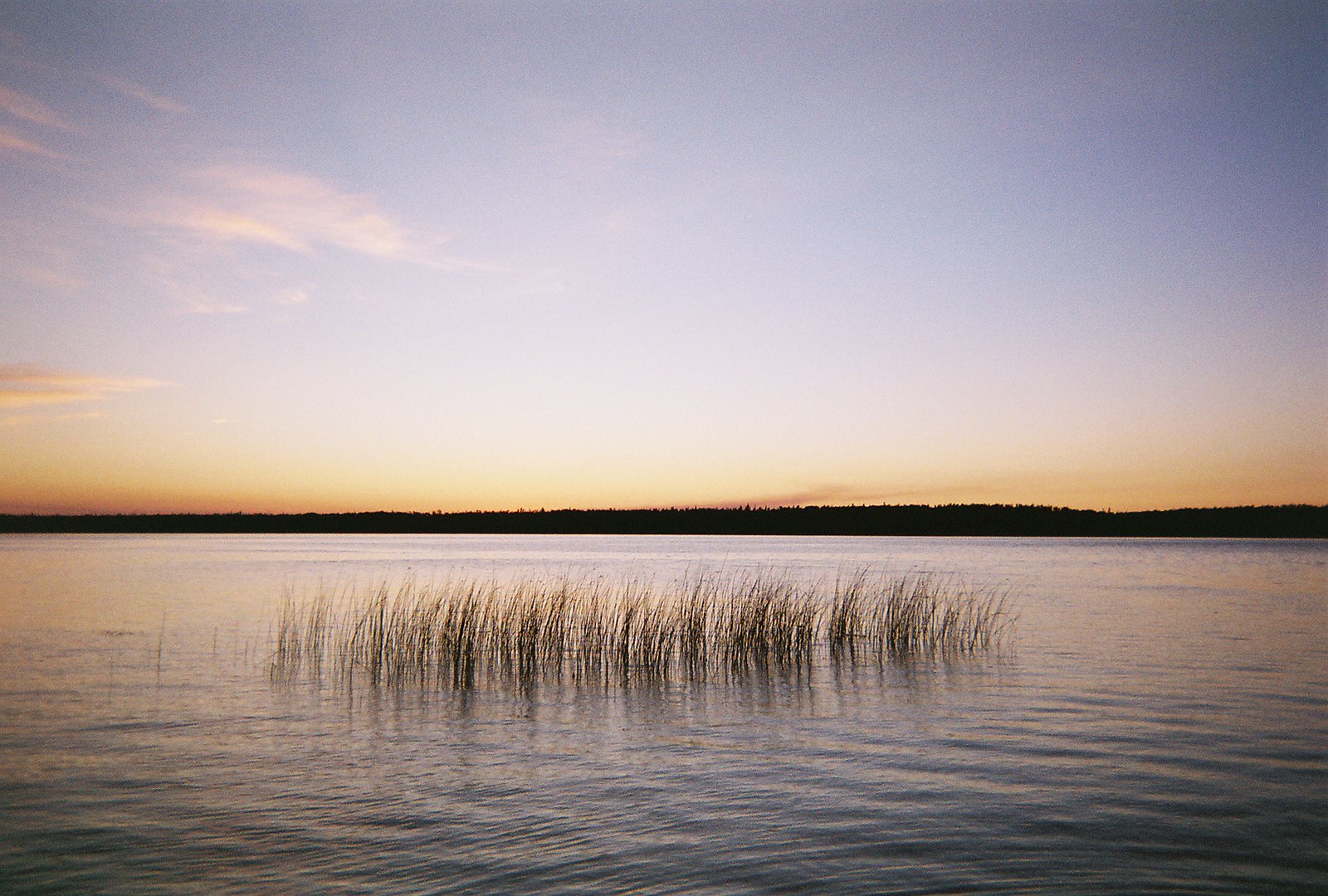 An interview with Jon Cole