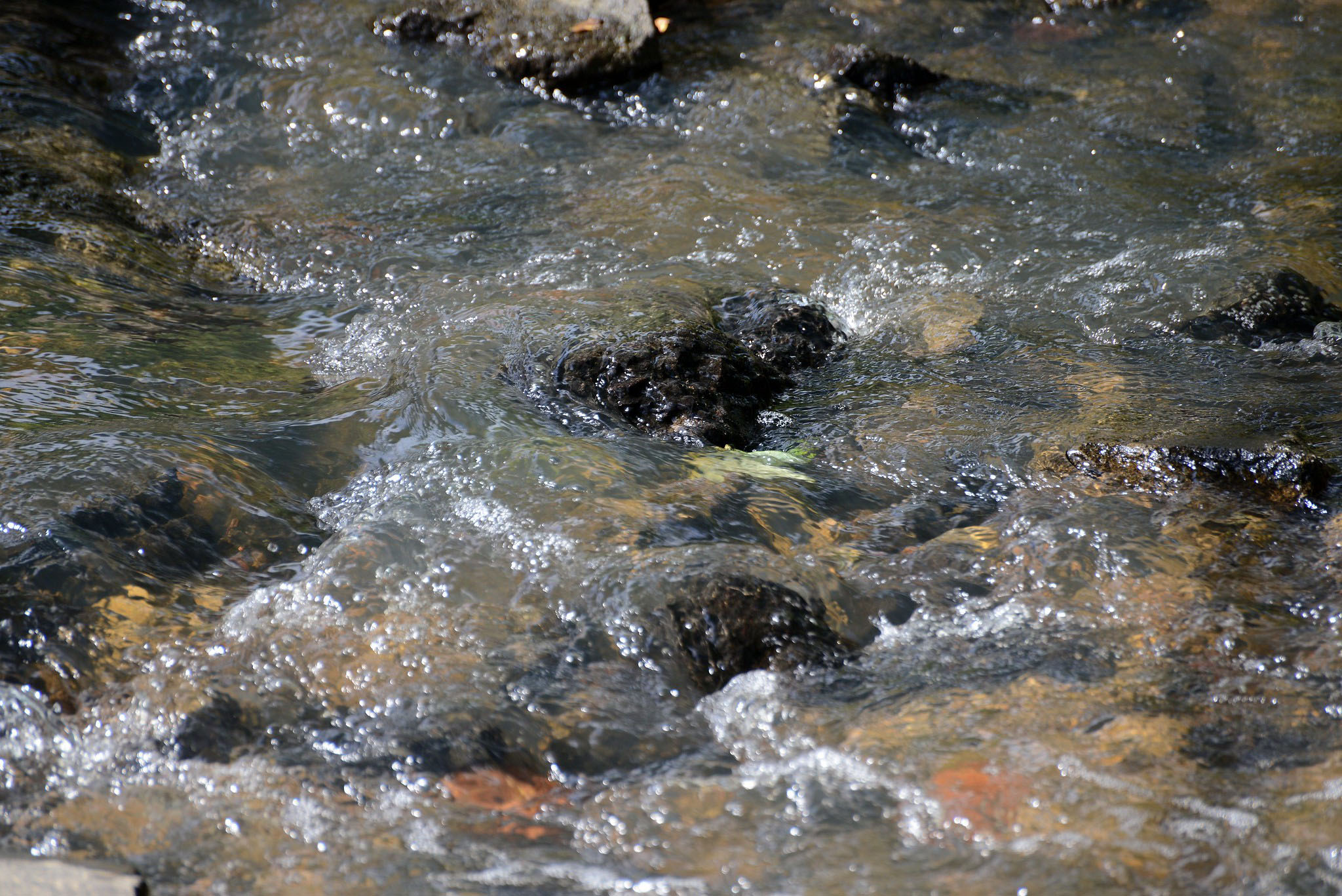 Streams cleanse water as they move it
