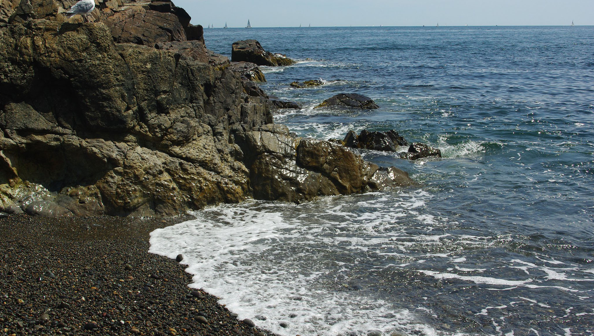 Gene E. Likens receives the Alfred C. Redfield Lifetime Achievement Award