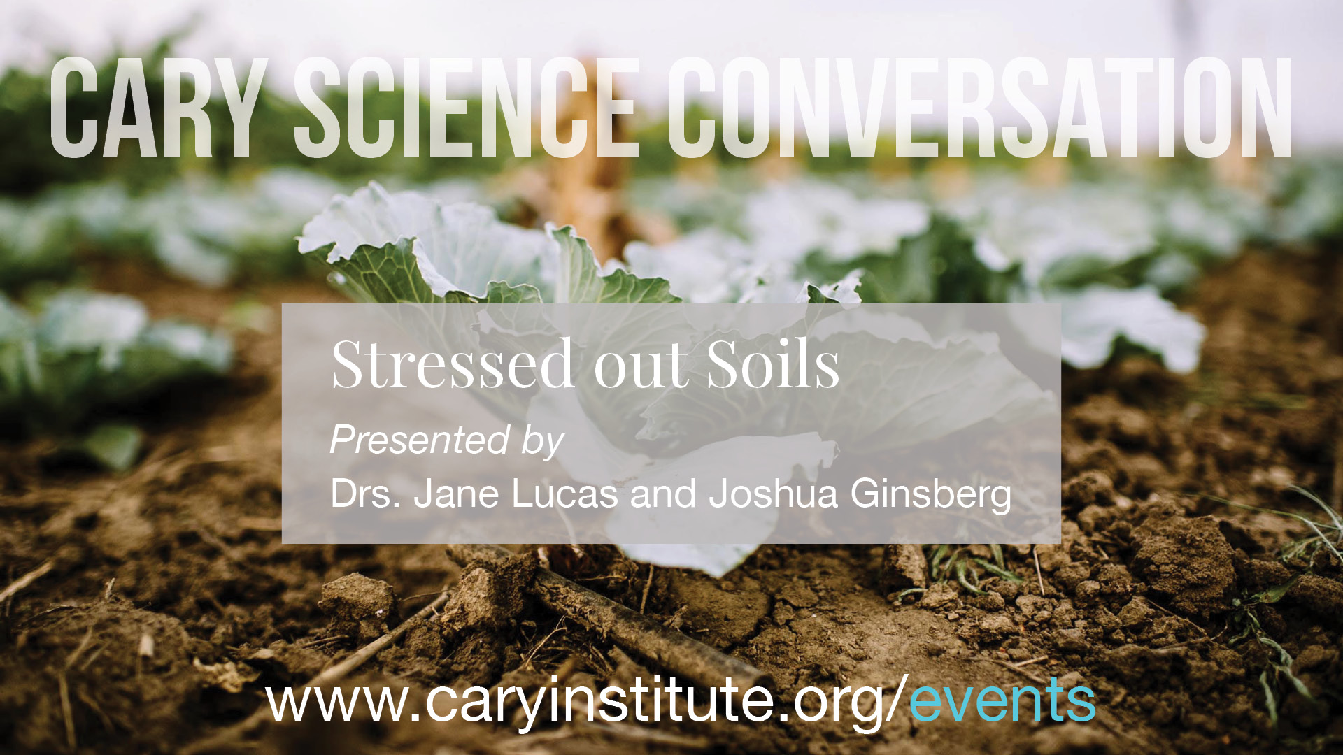 Stressed out Soils: A Conversation with Jane Lucas