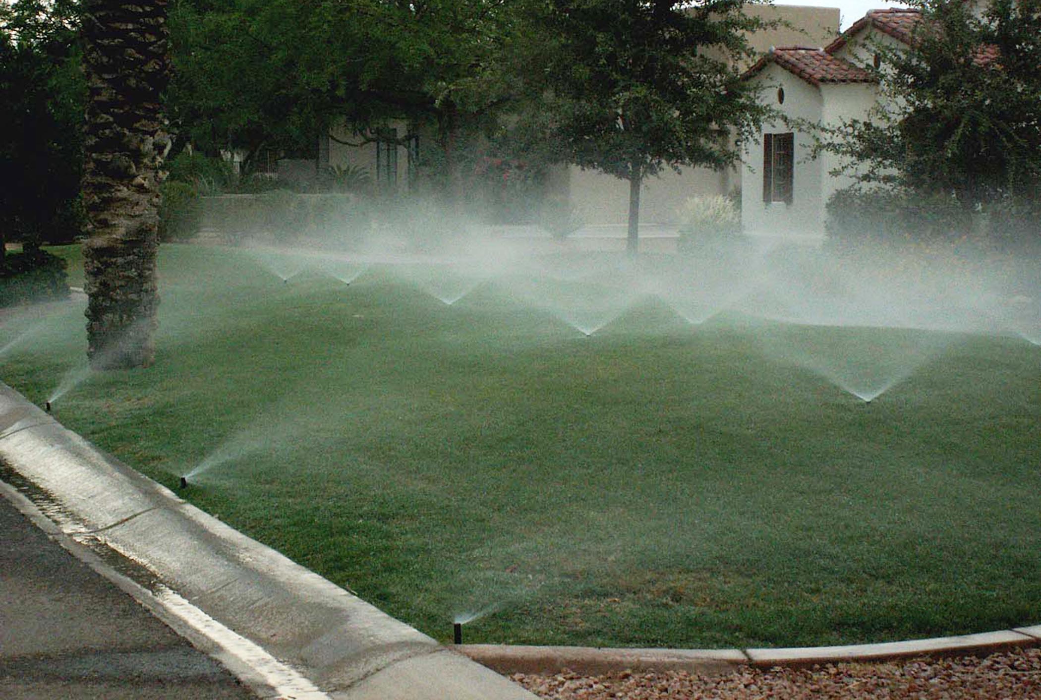 Watering the lawn