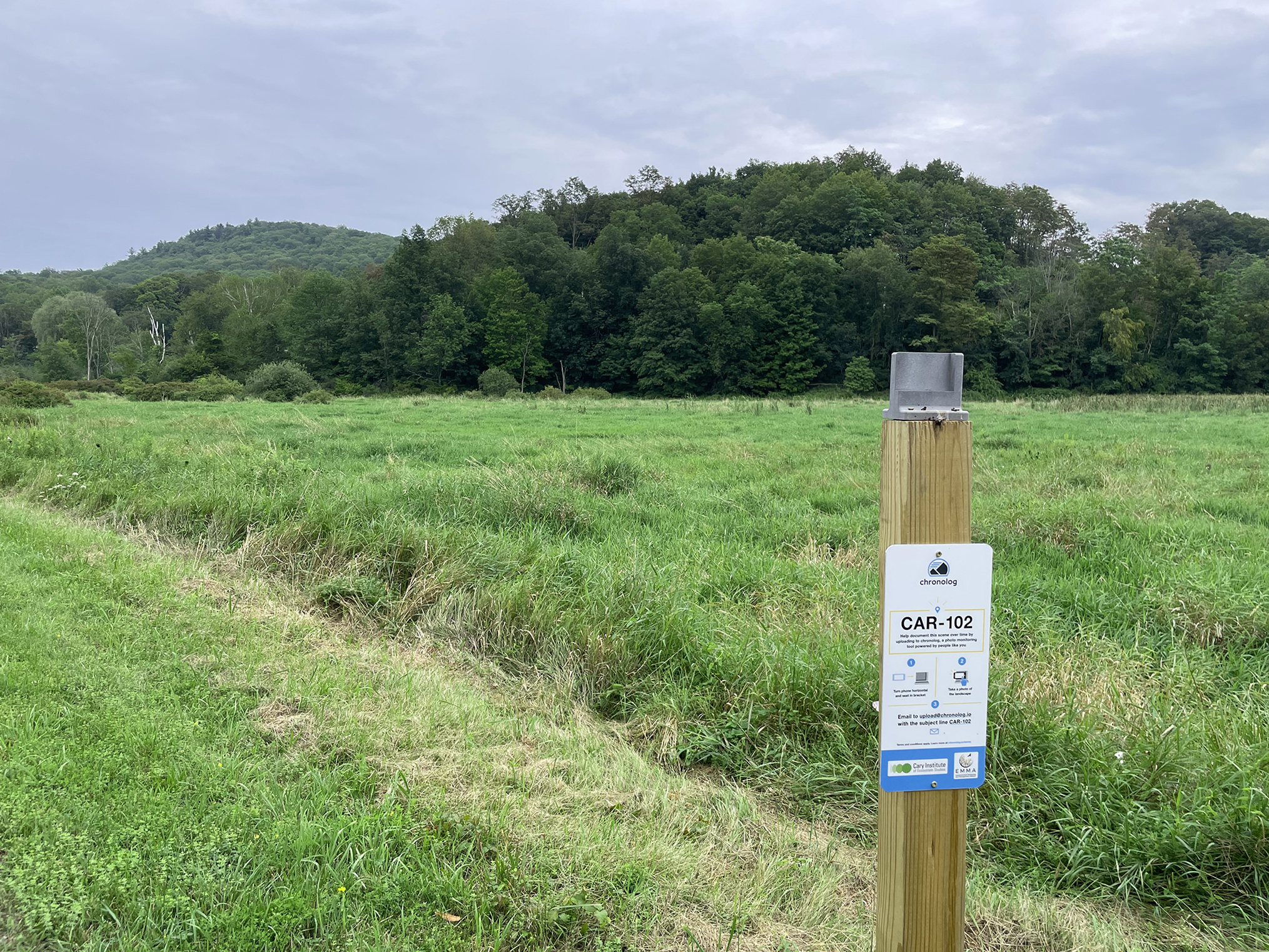 Snap a photo for science