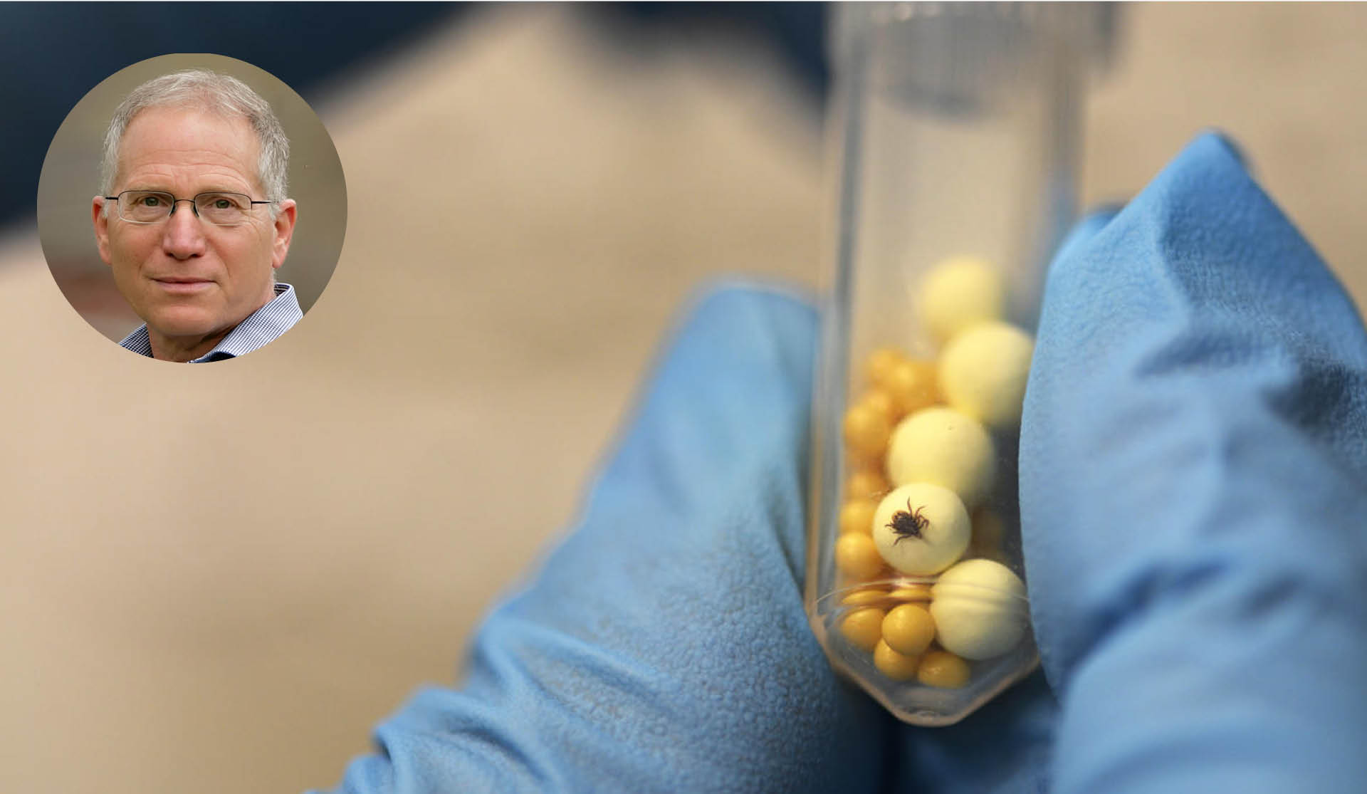 Does tick control provide health protection? Insights from The Tick Project