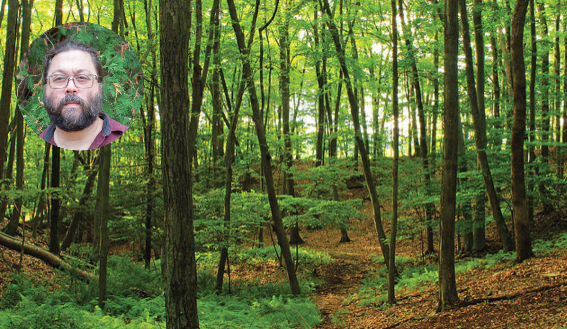 New York Forest Carbon Assessment