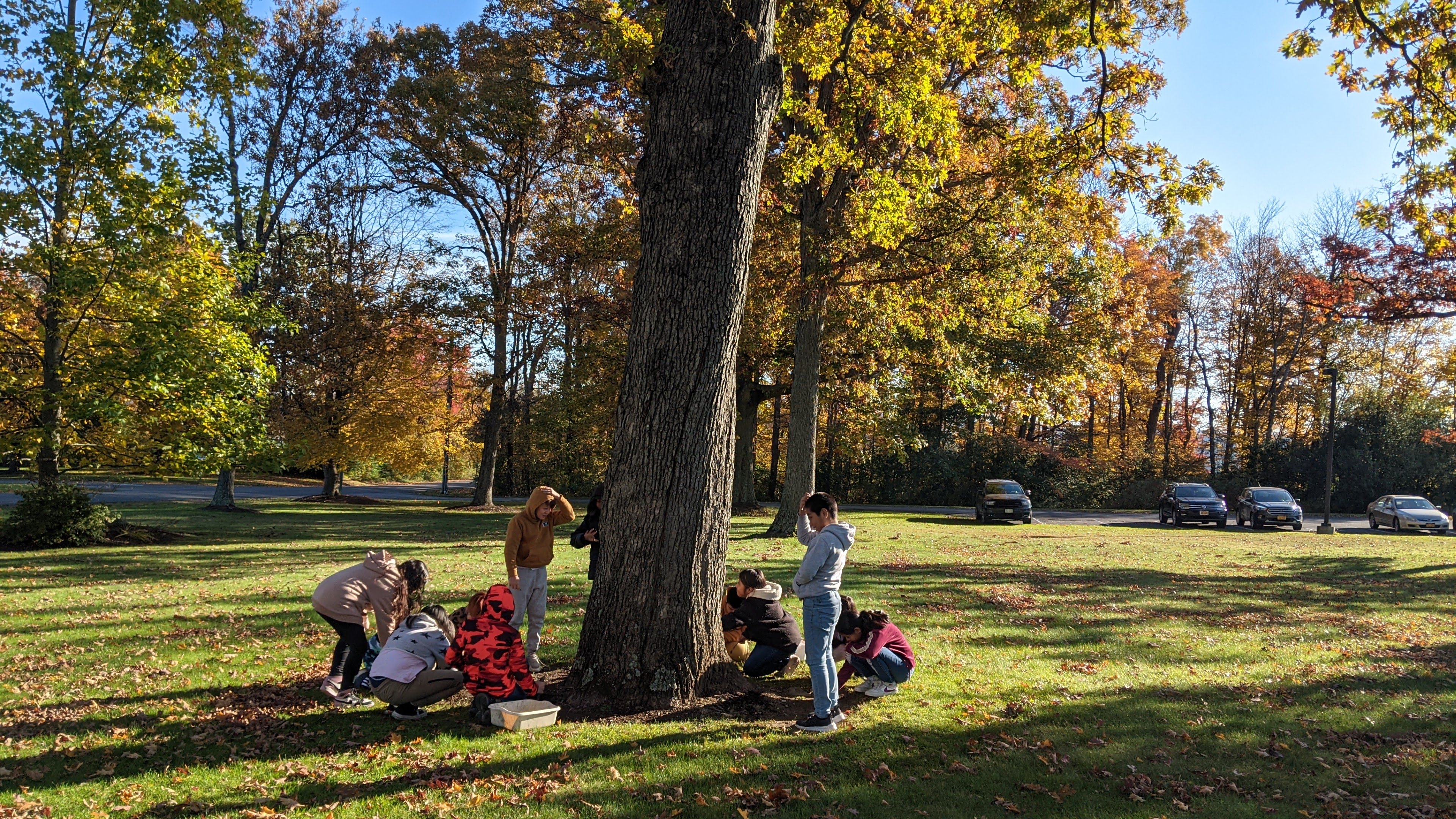 Bringing hands-on ecology experiments to local schoolyards